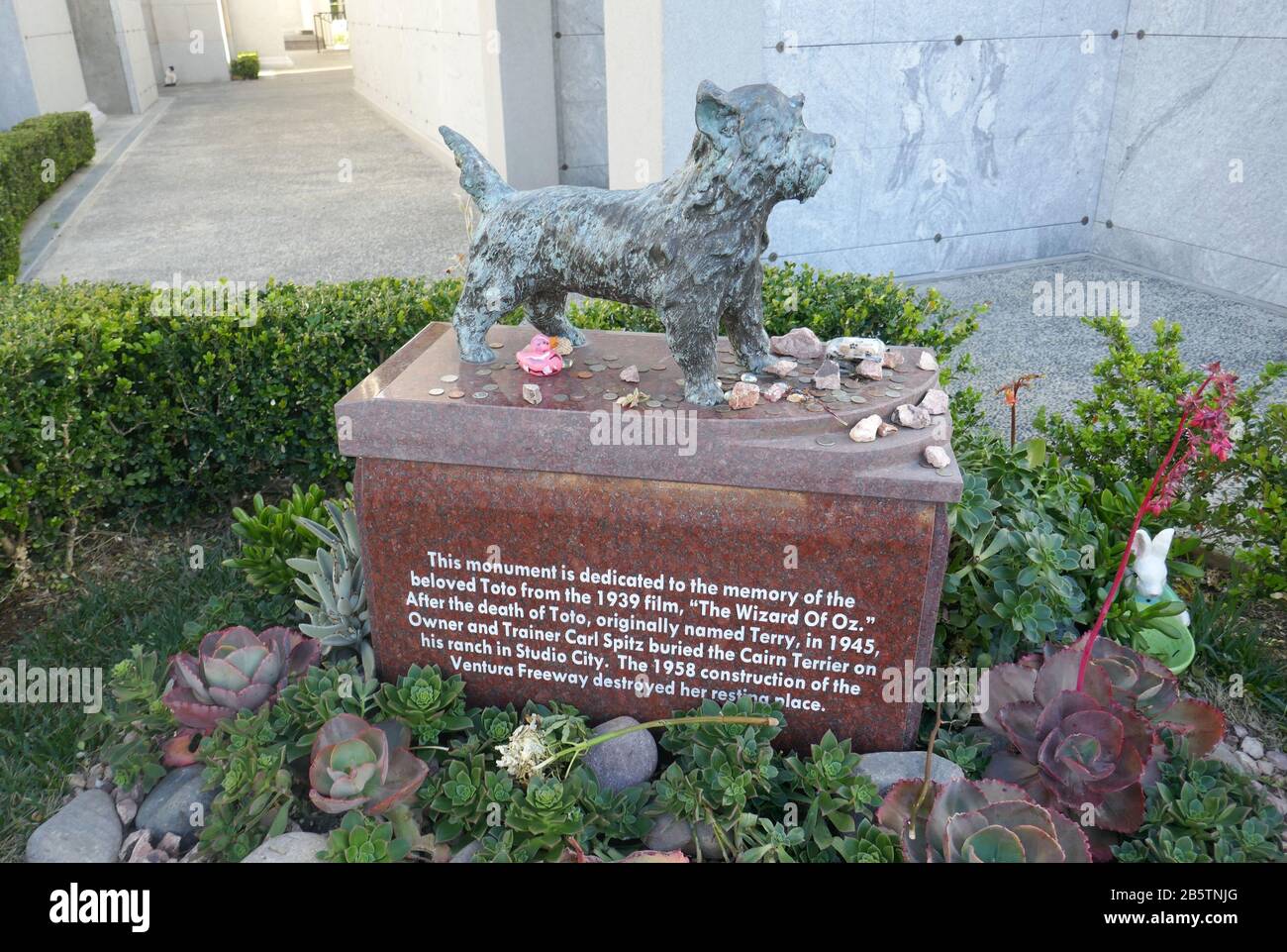 Hollywood, California, USA 7th March 2020 A general view of atmosphere ...