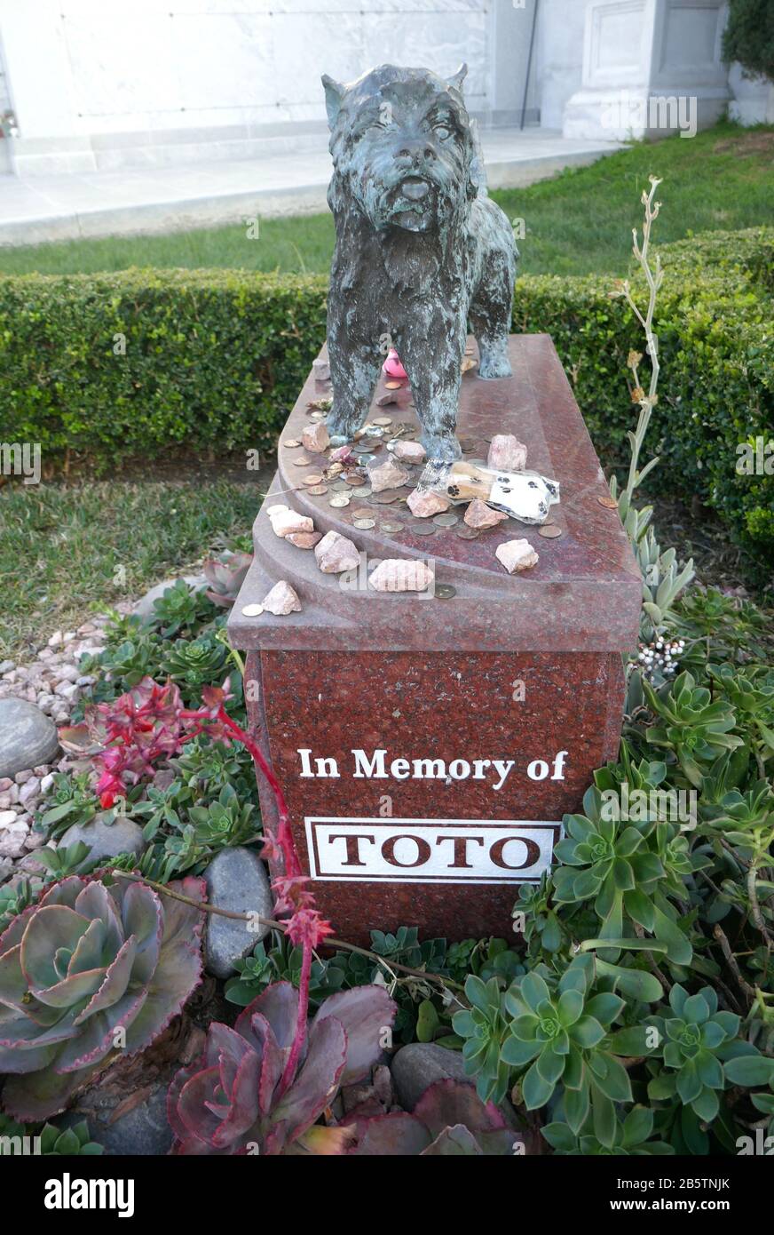 Hollywood, California, USA 7th March 2020 A general view of atmosphere ...