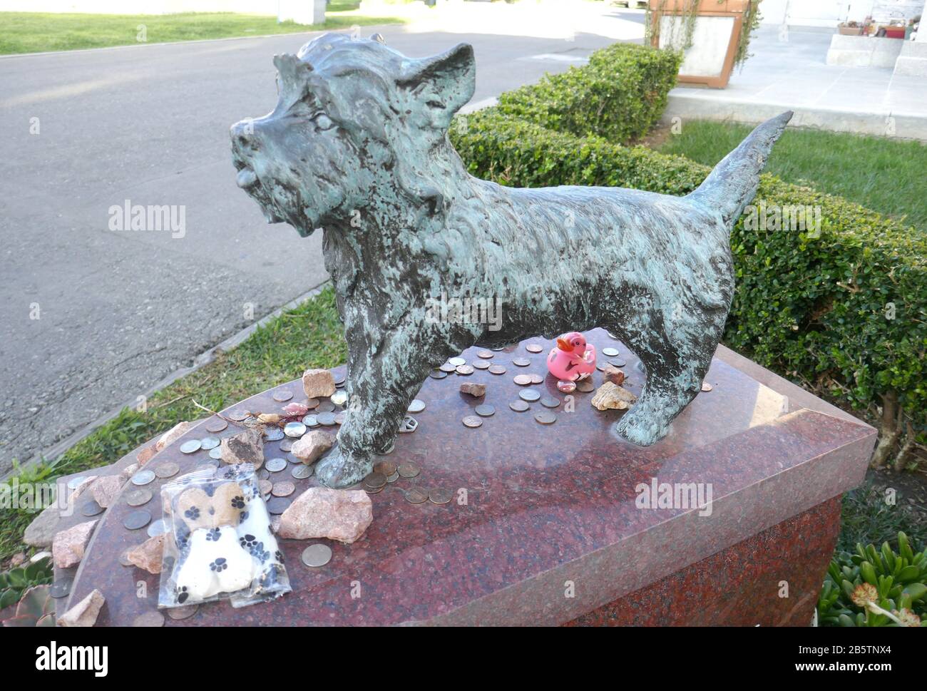 Hollywood, California, USA 7th March 2020 A general view of atmosphere ...