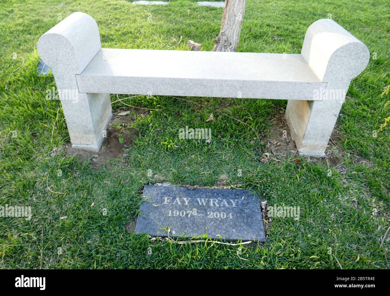 Hollywood, California, USA 7th March 2020 A general view of atmosphere ...