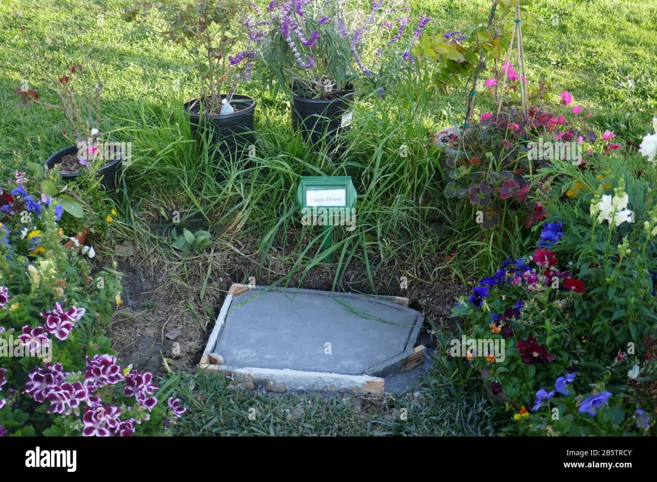 Hollywood, California, USA 7th March 2020 A general view of atmosphere ...