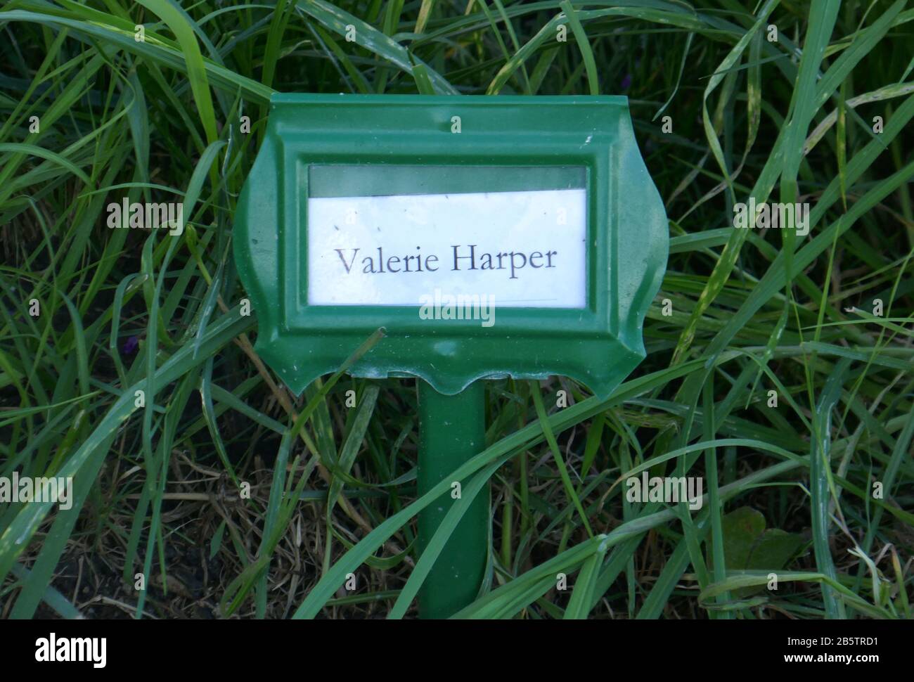 Hollywood, California, USA 7th March 2020 A general view of atmosphere ...