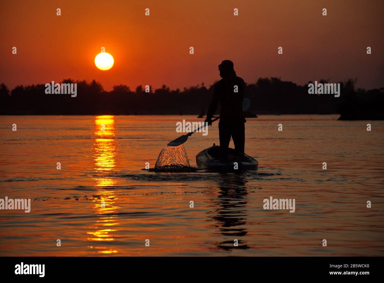 Man paddling hi-res stock photography and images - Alamy