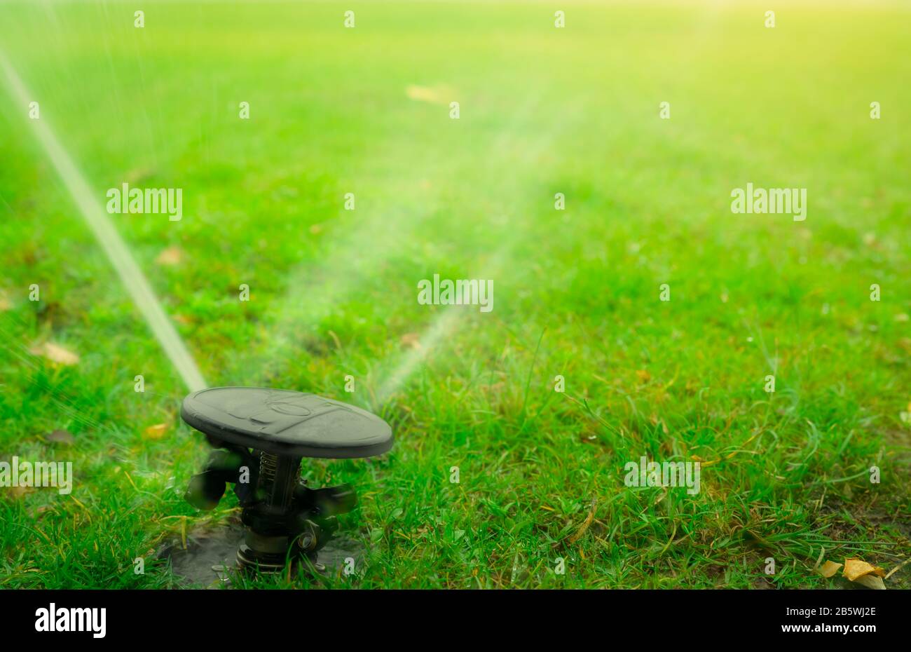 Automatic lawn sprinkler watering green grass. Garden, yard irrigation ...