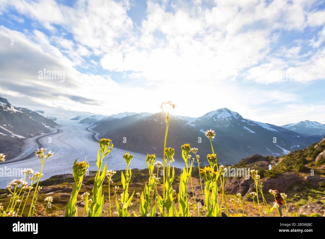 Salmon glacier in Stewart, Canada Stock Photo - Alamy