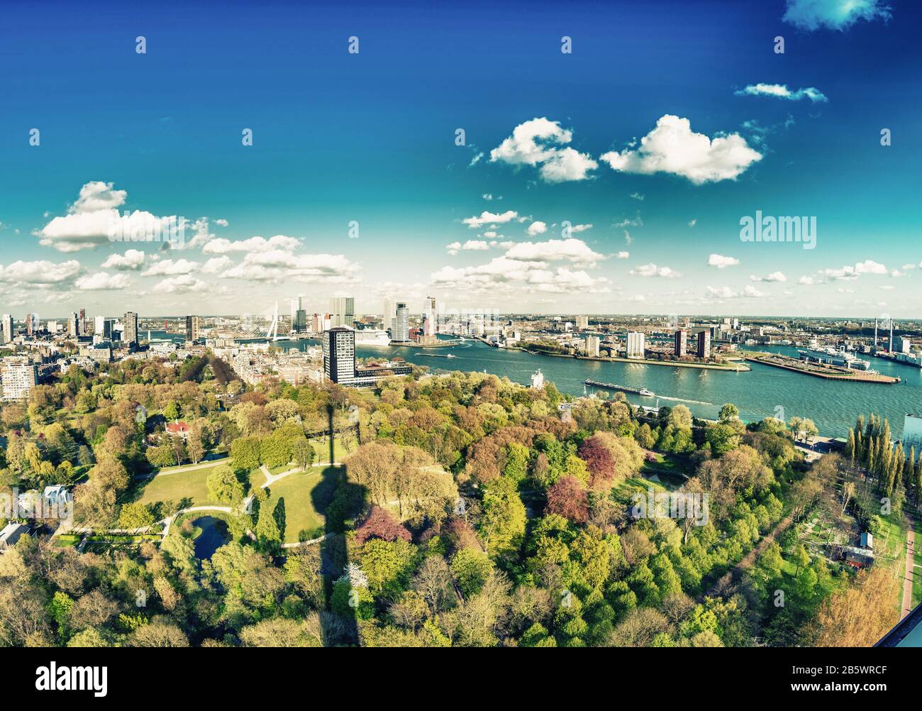 Rotterdam, Netherlands. City skyline on a beautiful sunny day Stock ...