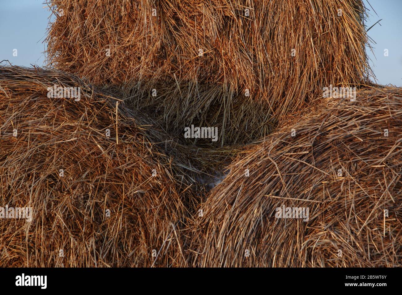 Crop innovation hi-res stock photography and images - Alamy