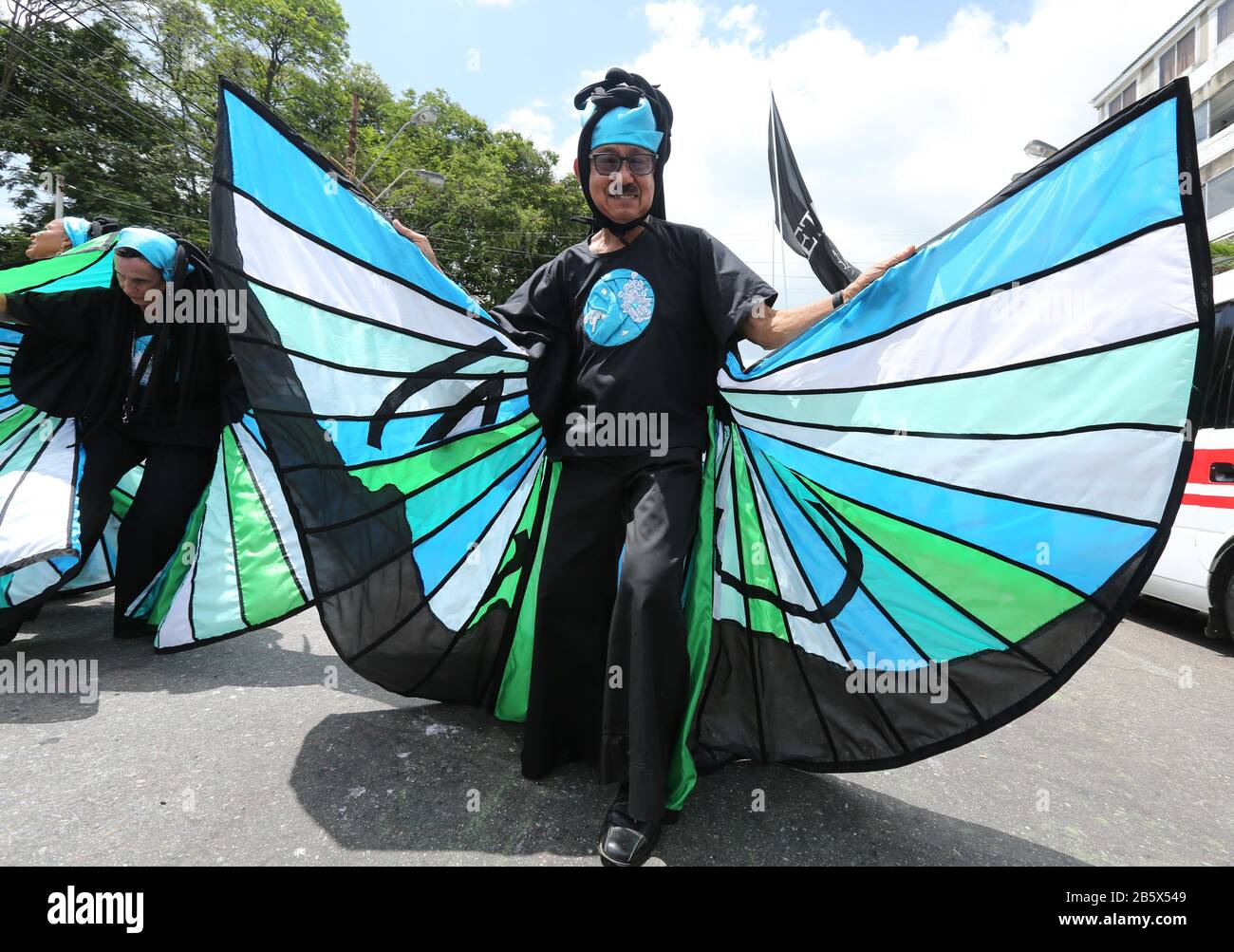 Rasta parrot hi-res stock photography and images - Alamy
