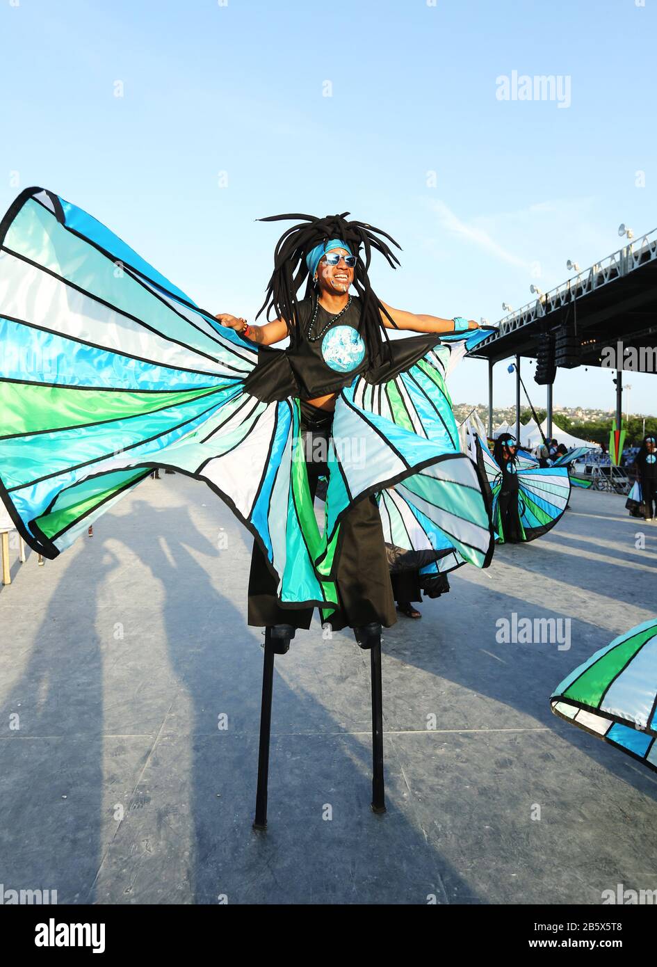 Rasta parrot hi-res stock photography and images - Alamy