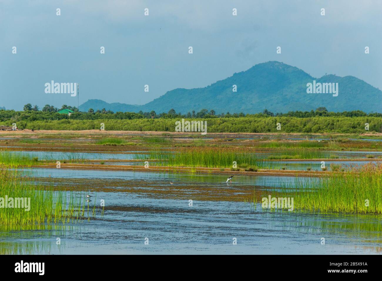 The Bokor Mountain National Park in Kampot, Cambodia Stock Photo - Alamy