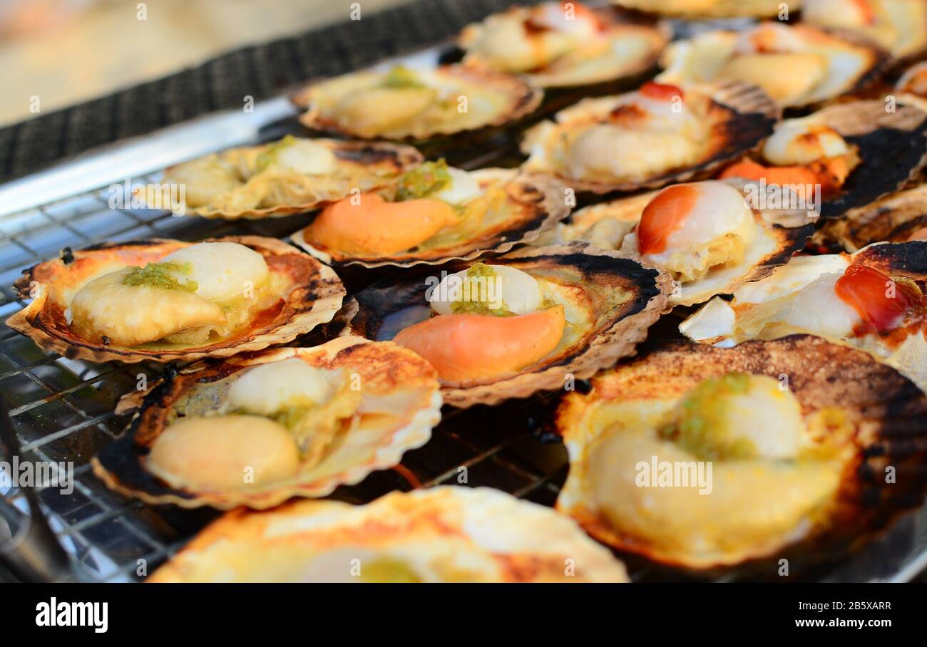Grilled Scallops In Shell