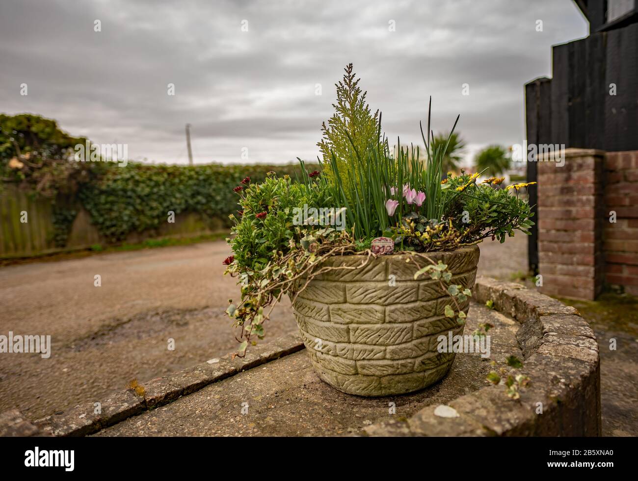 9 Horning, Norfolk, UK – March 07 2020. Outdoor ornate plant pot filled ...