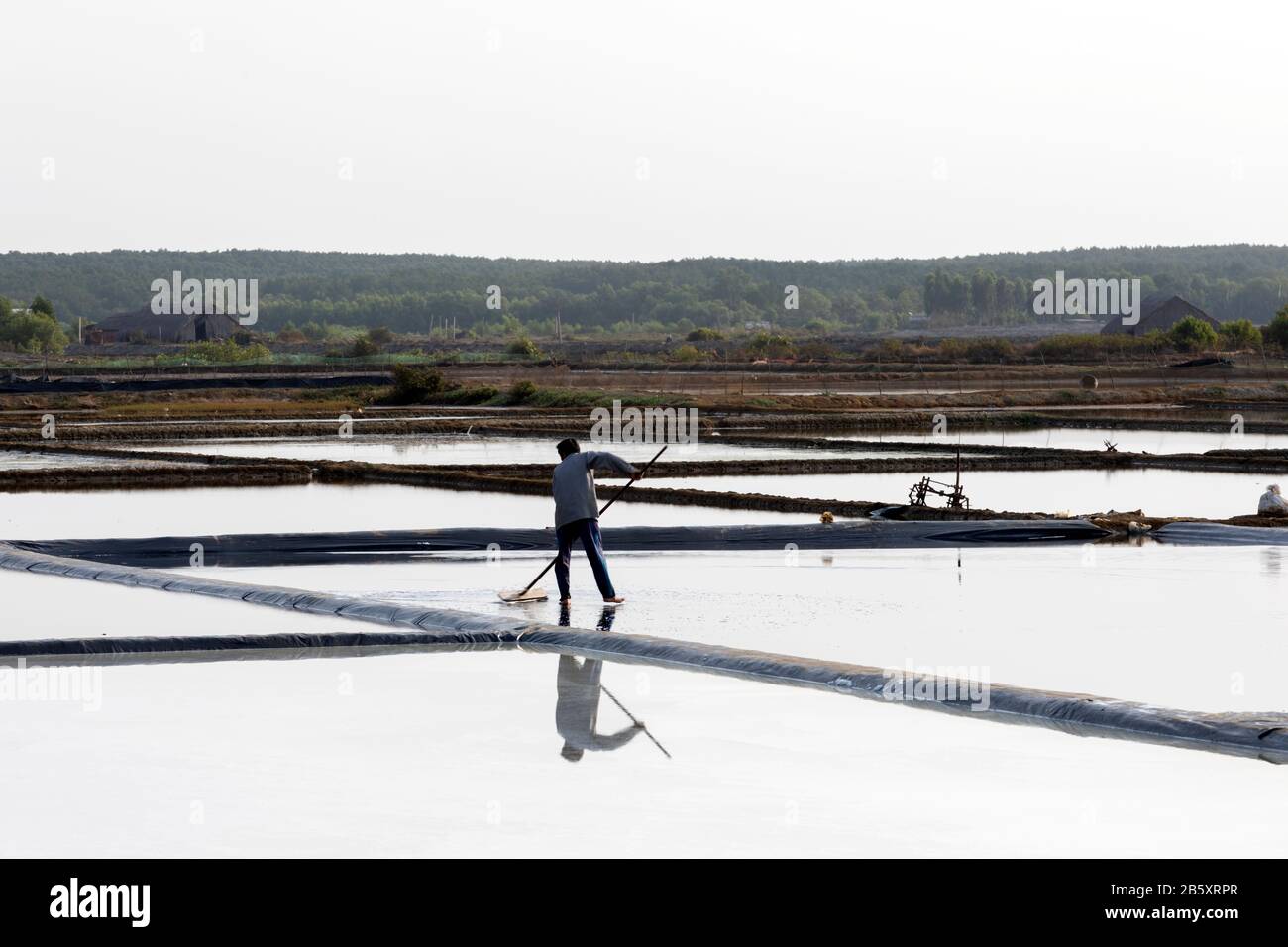A worker is scraping Salt from the evaporated sea water during the Salt ...