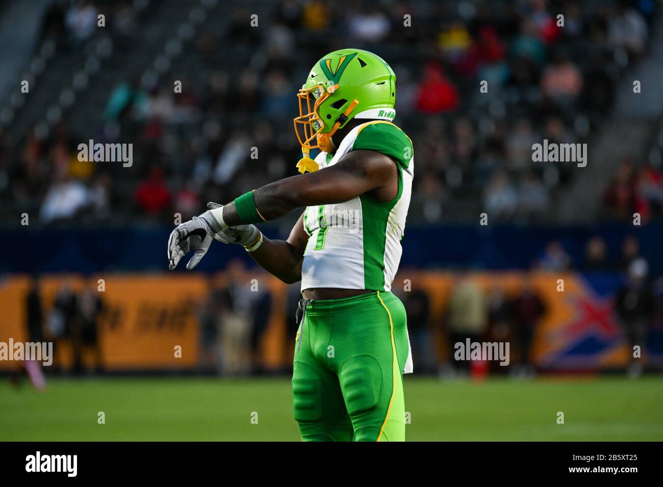Tampa Bay Vipers quarterback Taylor Cornelius (4) passes the ball ...