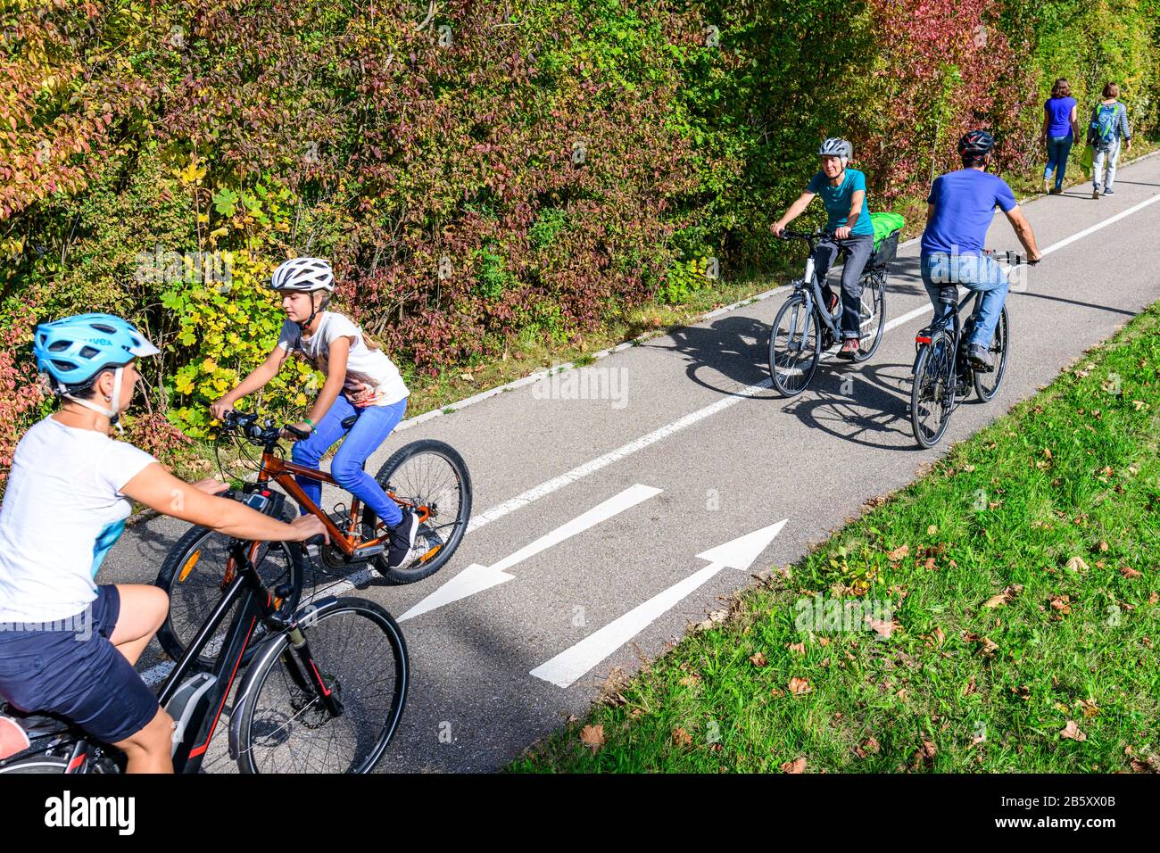 Cyclists and pedestrians travelling together on a cycle and footpath ...