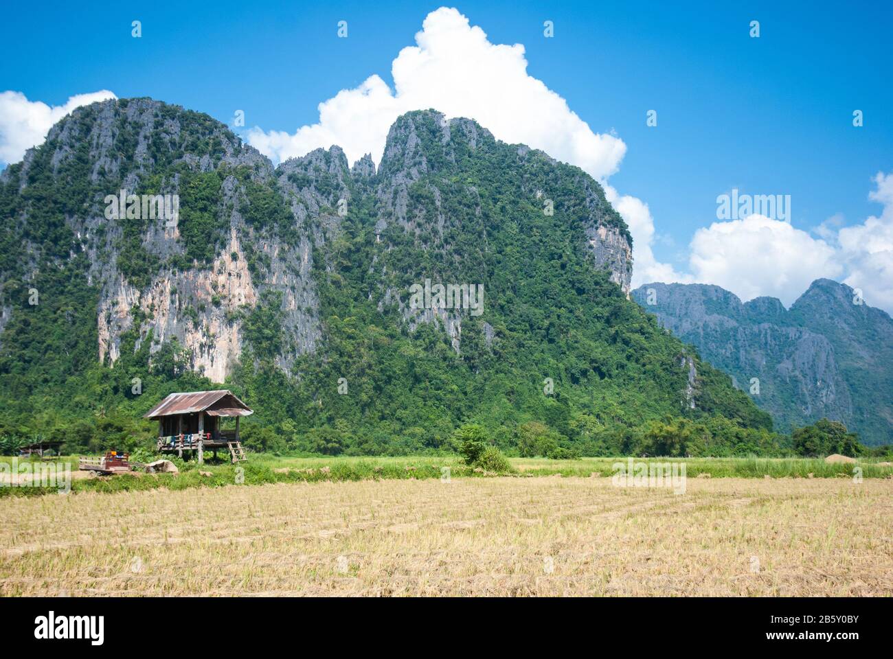Rice field in Vang Vieng, Laos Stock Photo - Alamy
