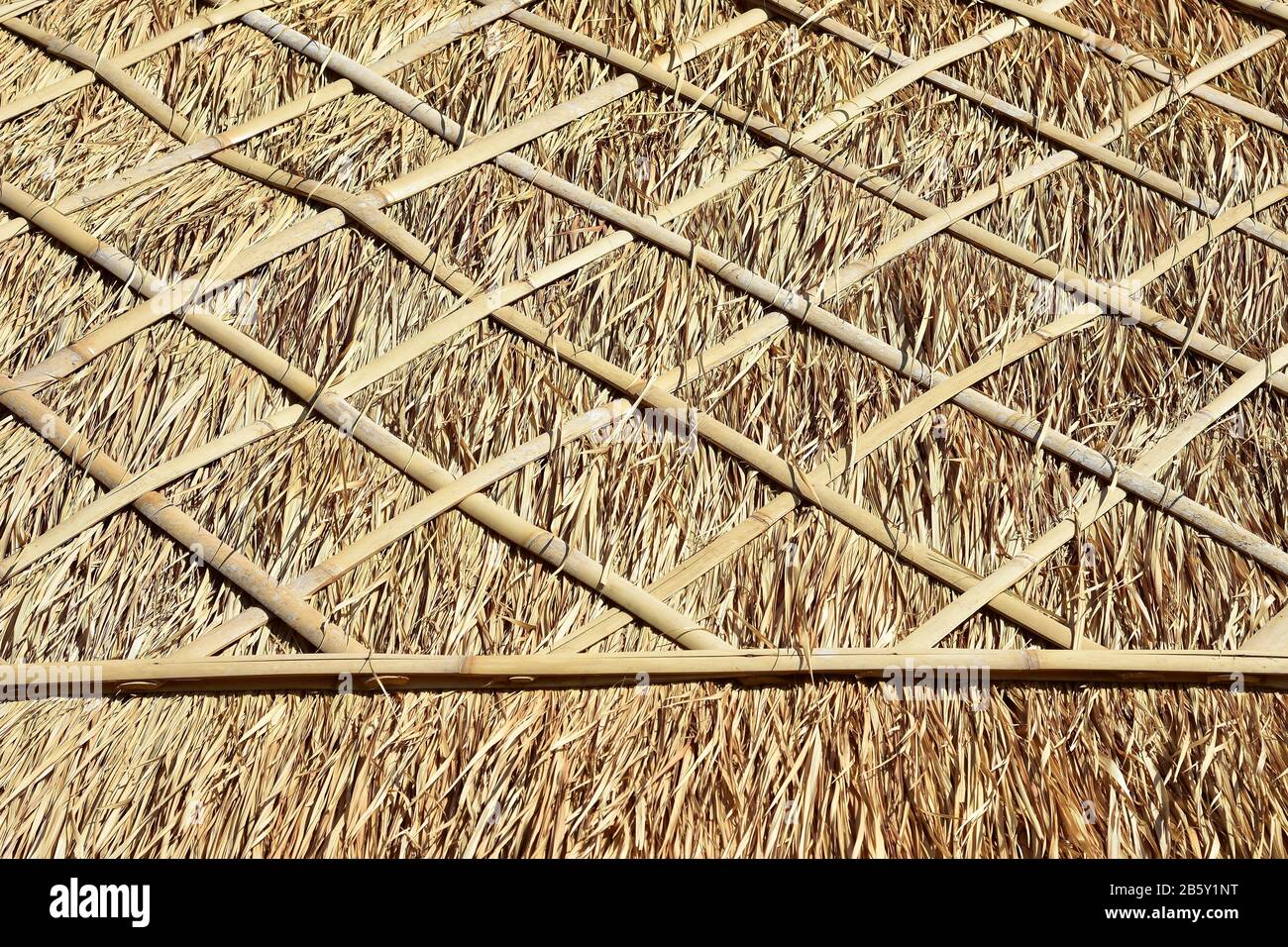 Bamboo sticks hi-res stock photography and images - Alamy