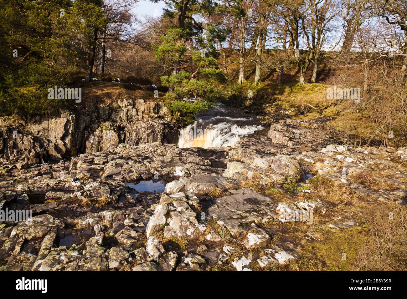 The waterfalls at Low Force,Teesdale,England,UK Stock Photo - Alamy