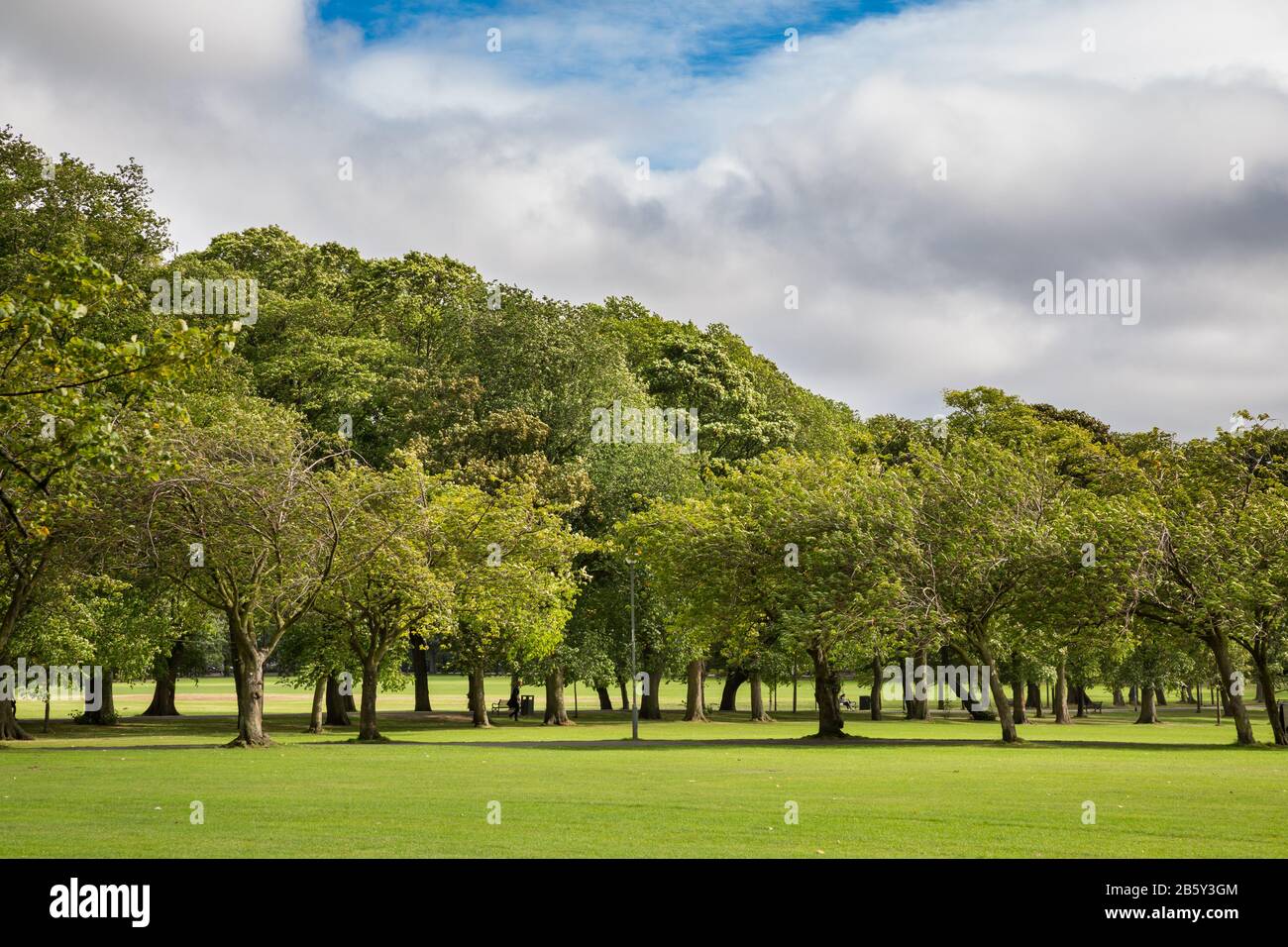Edinburgh Cherry Trees High Resolution Stock Photography and Images - Alamy