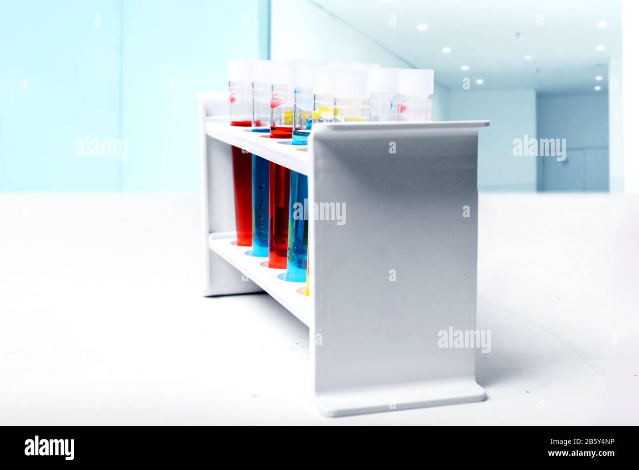 Rack of the test tube with a blood sample on the lab table Stock Photo ...