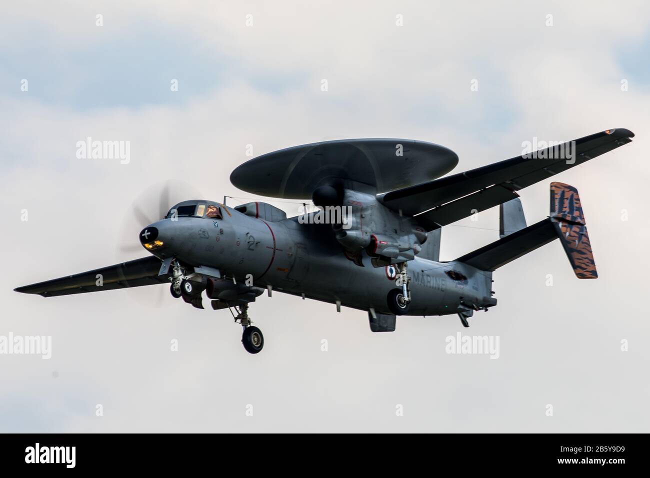 Tiger meet hi-res stock photography and images - Alamy