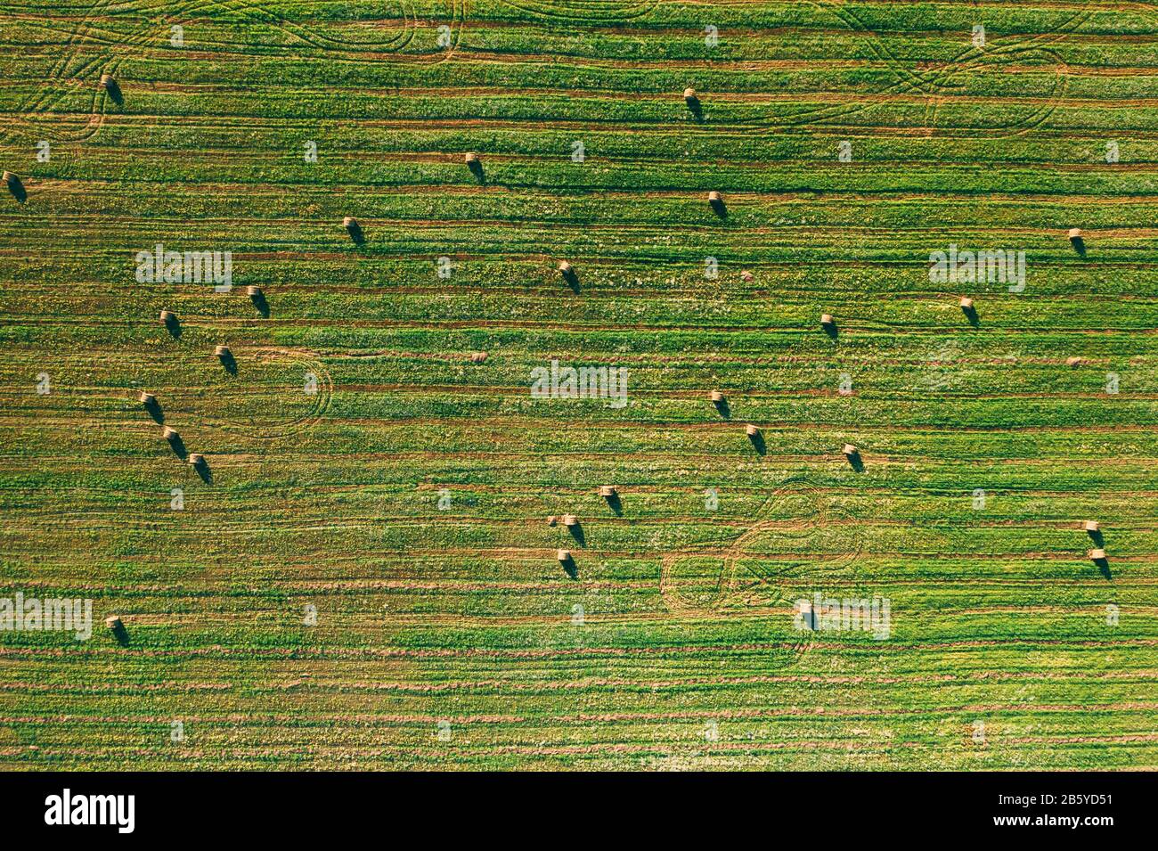 Aerial View of Summer Field Landscape With With Dry Hay Bales During ...