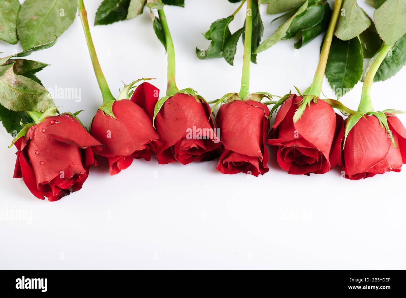 Red rose border frame hi-res stock photography and images - Alamy