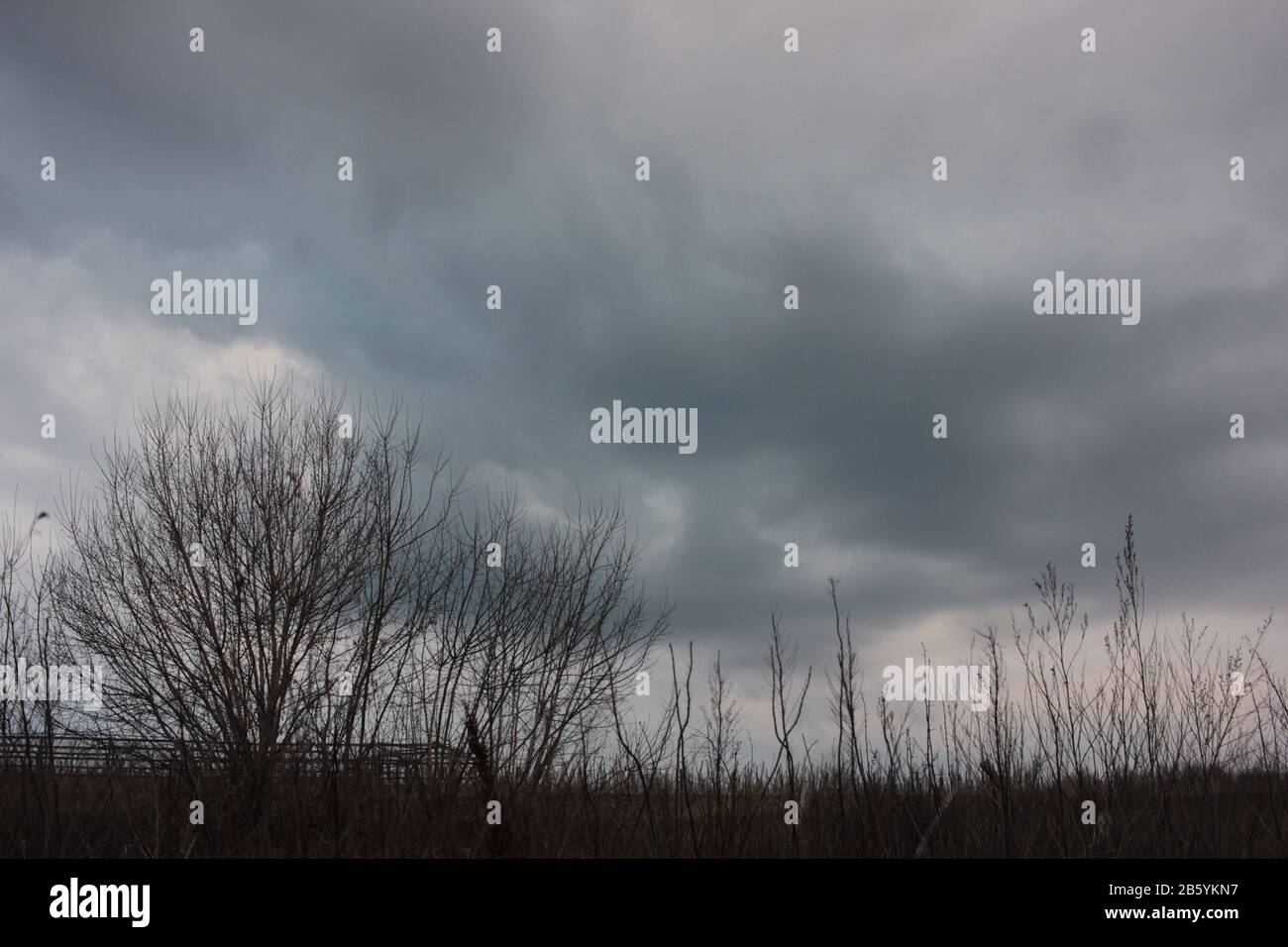 Early Spring landscape with trees silhouettes on the stormy sky with ...