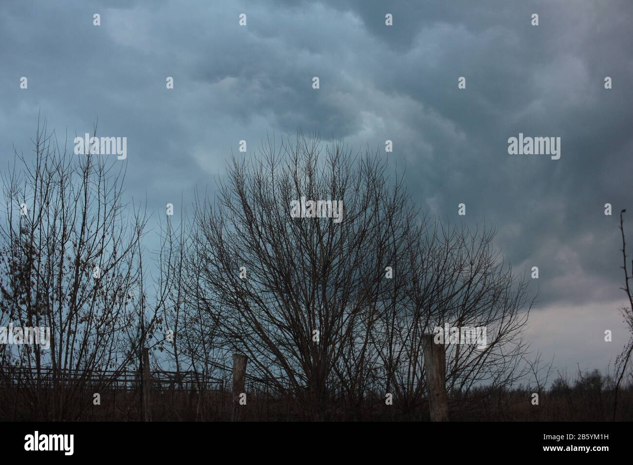 Early Spring landscape with trees silhouettes on the stormy sky with ...
