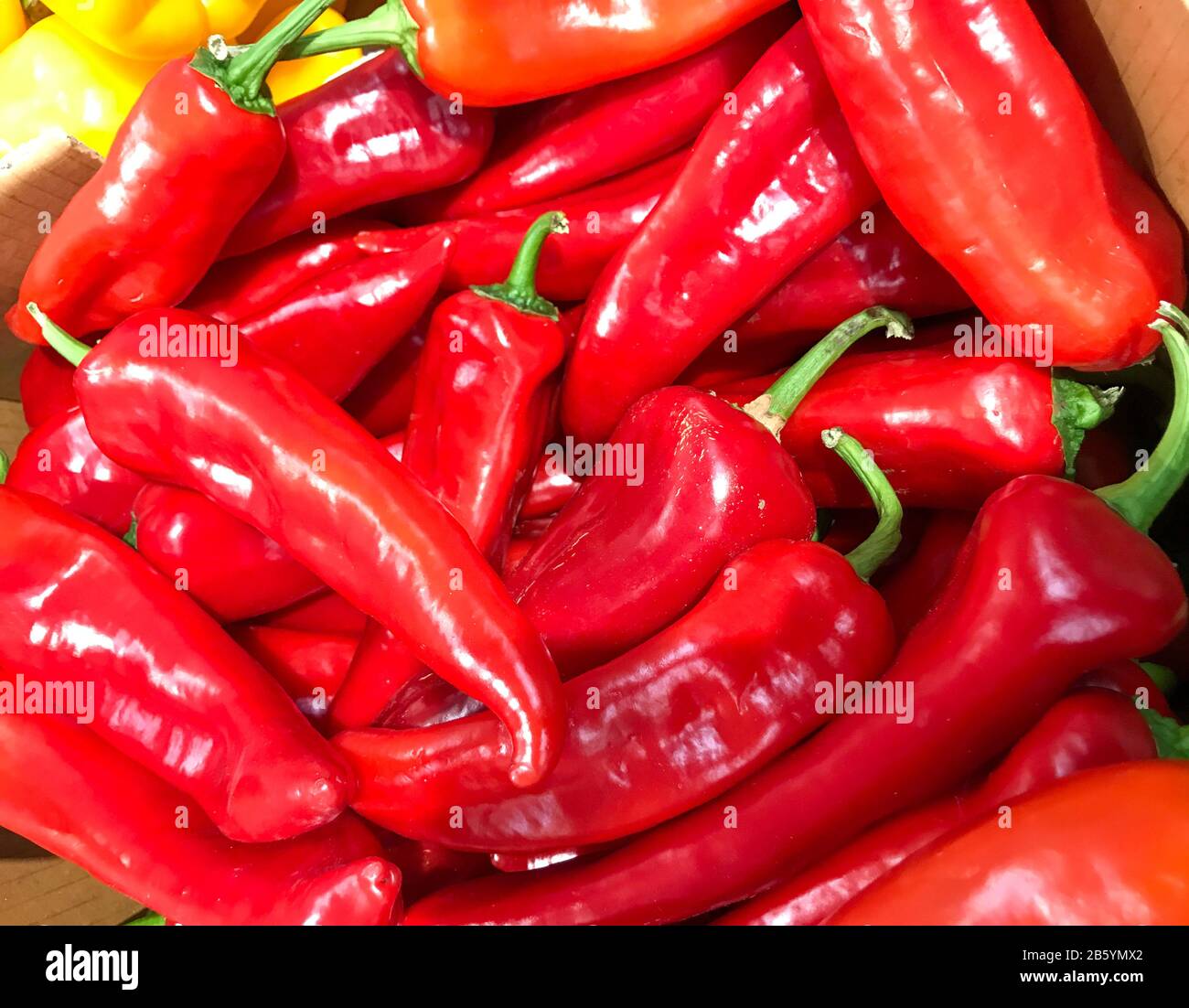 Close-Up Of Red Chili Pepper. Healthy fresh food background Stock Photo ...