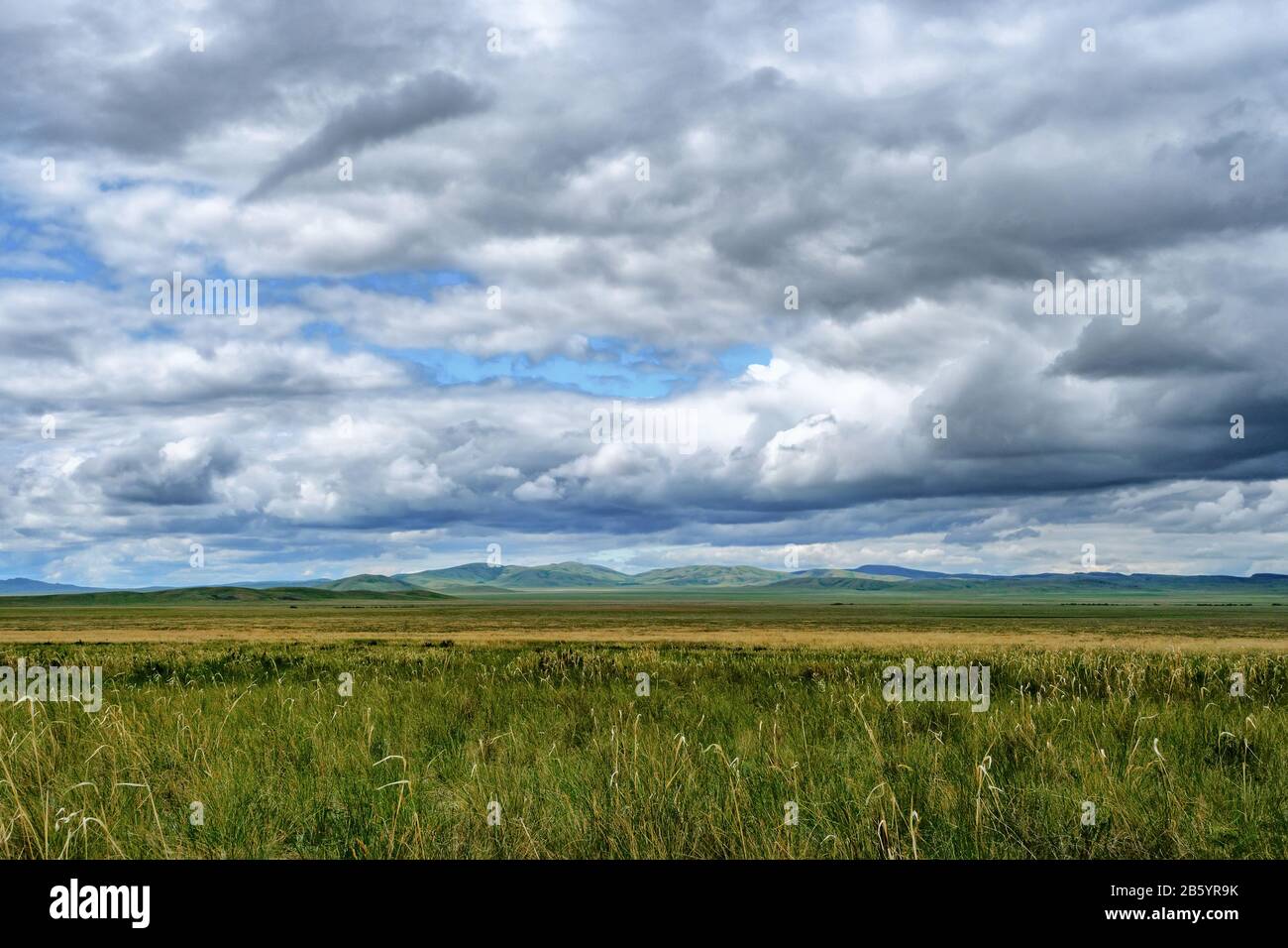 Steppe In Asia