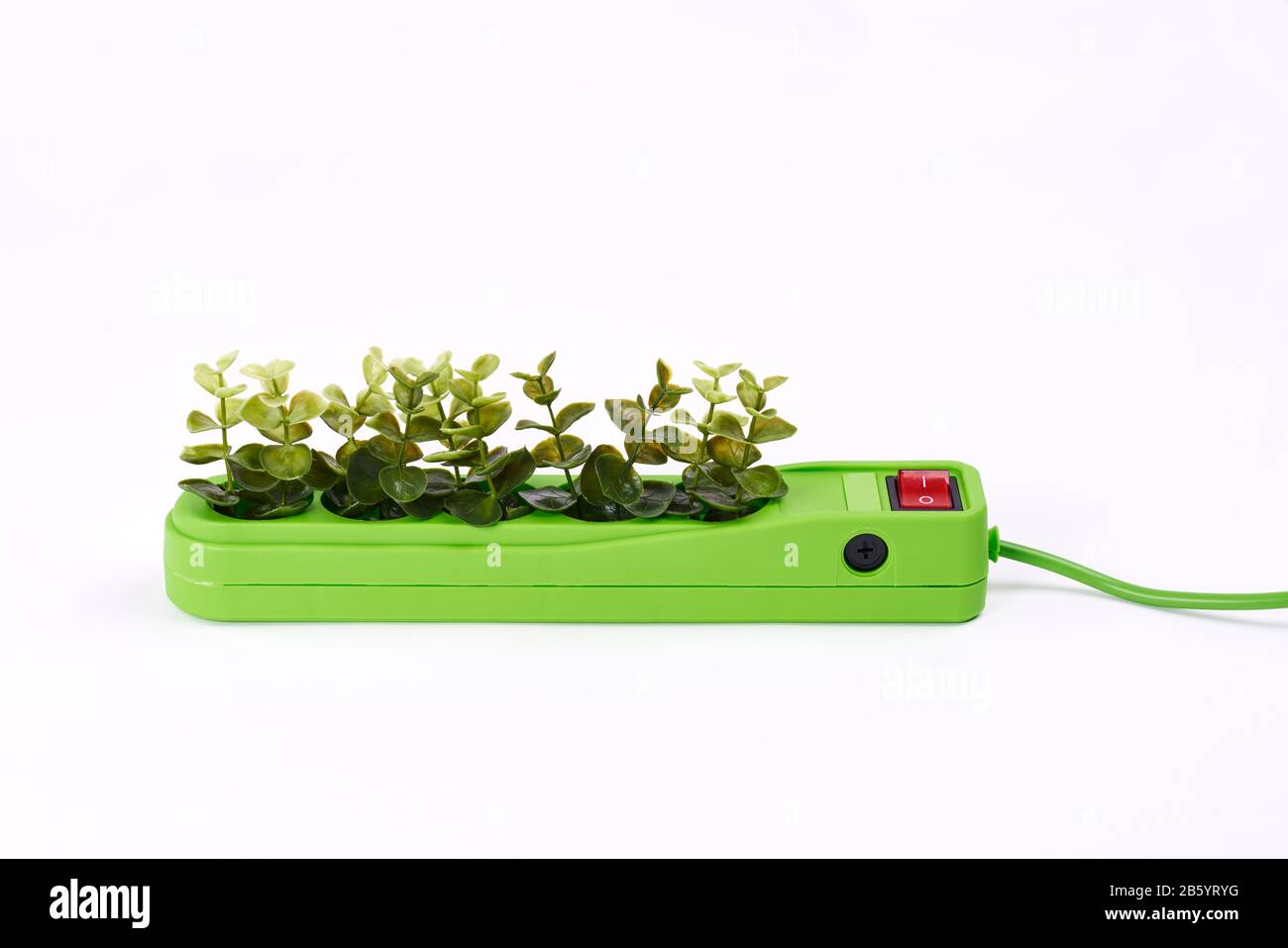 Electric socket with plants on white background Stock Photo - Alamy