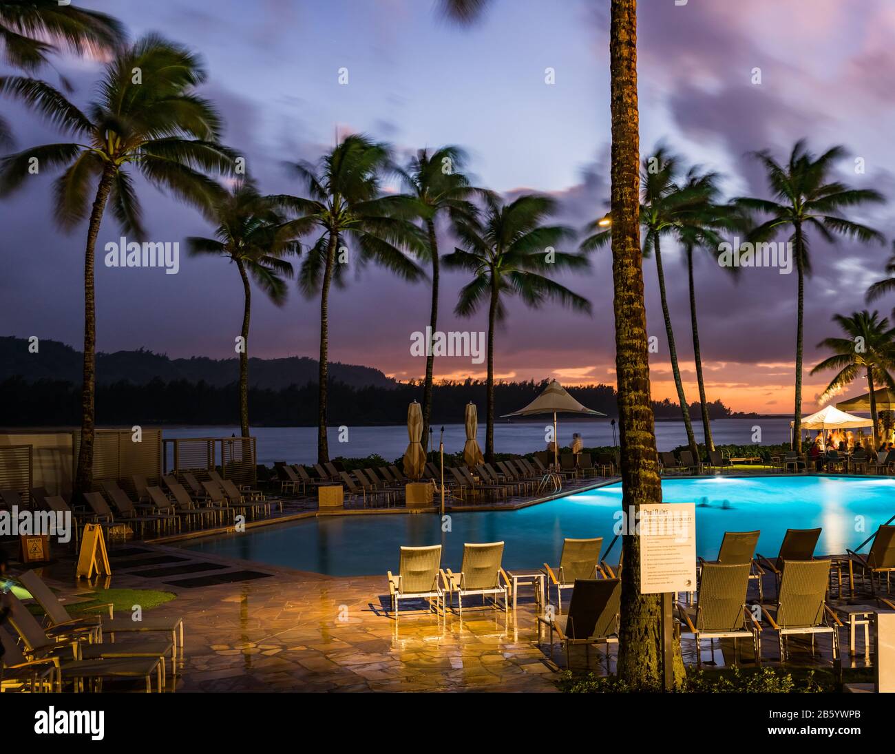 Swimming pool at Turtle Bay Resort illuminated and surrounded by palm ...