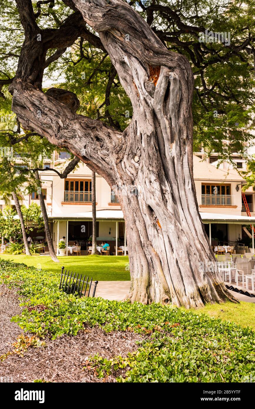 Honolulu landscape hi-res stock photography and images - Alamy