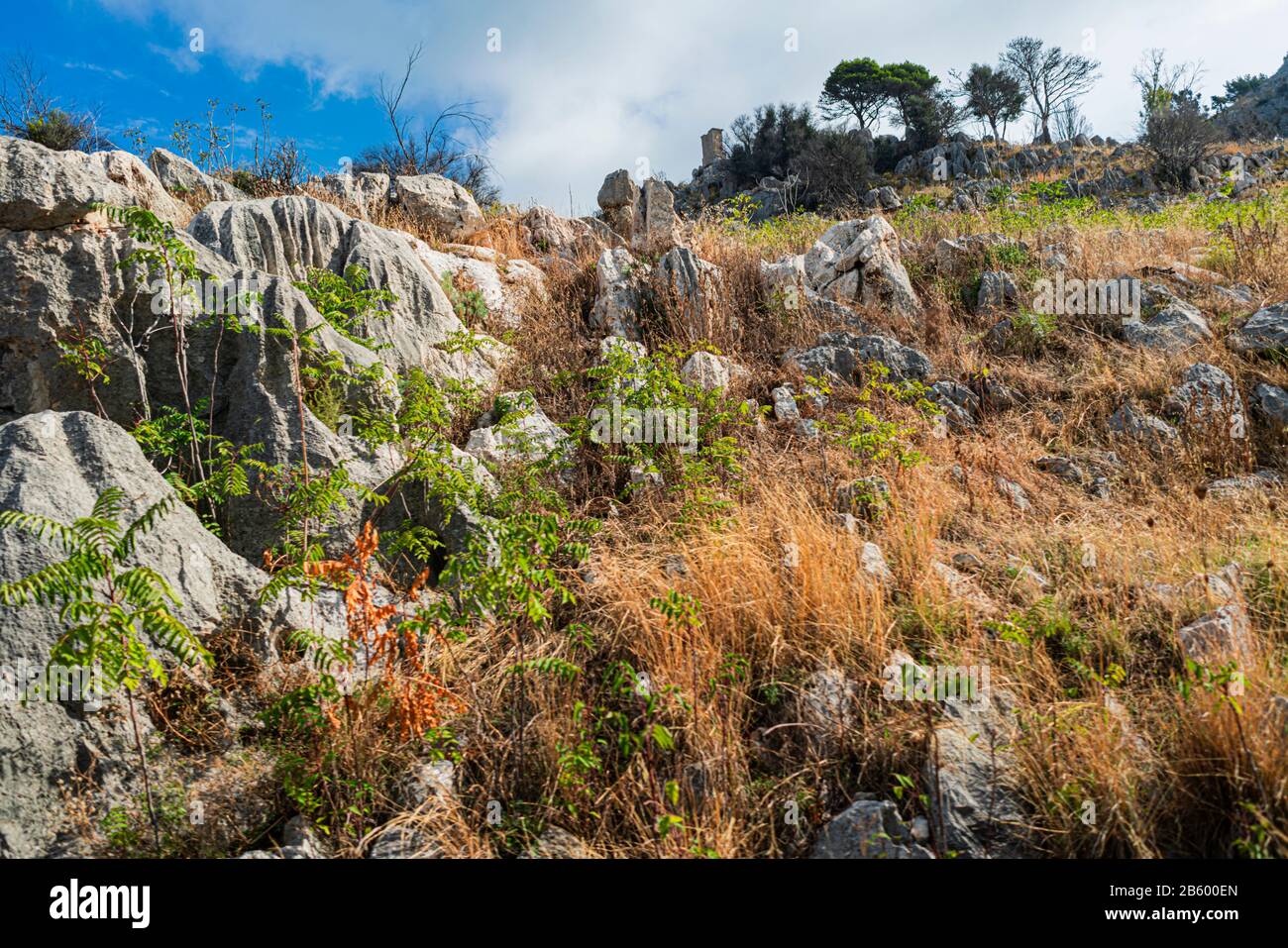 Nature of Mount Pellegrino, landscape. Palermo, Sicily, Italy Stock ...
