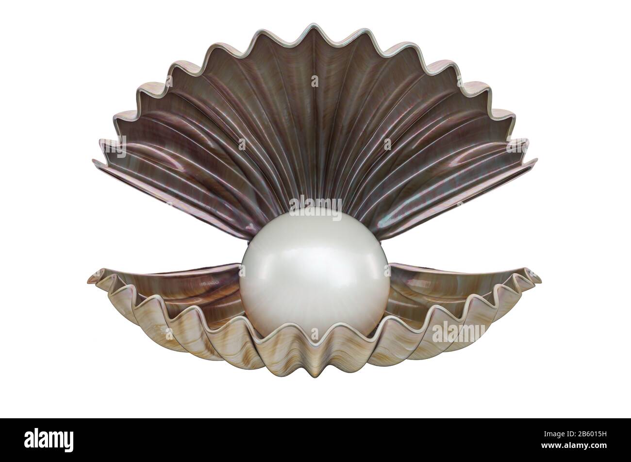 Shell with pearl. Clam, oyster. 3d rendering isolated on white ...