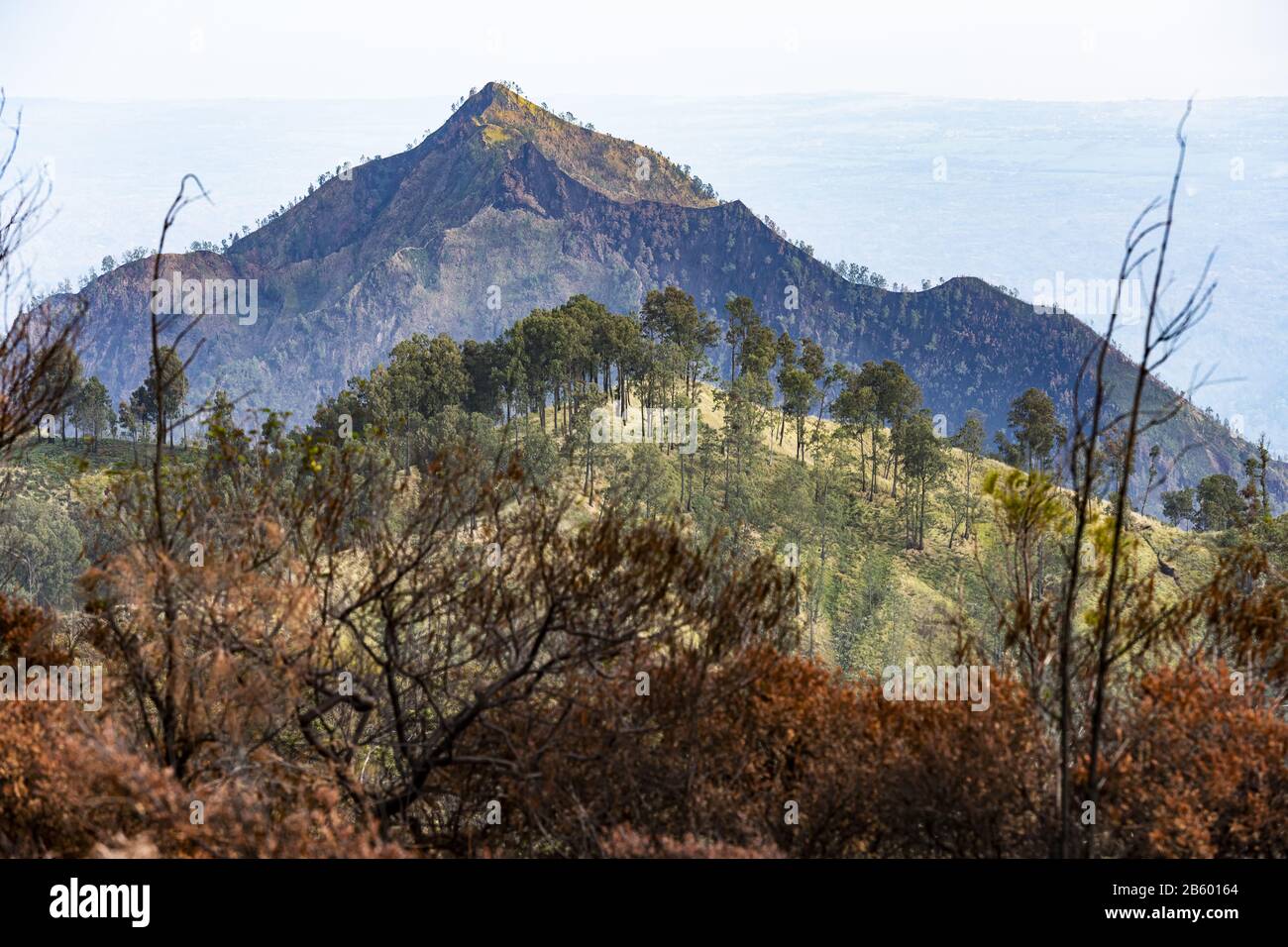 Stunning view of a beautiful mountain range with beautiful lush ...