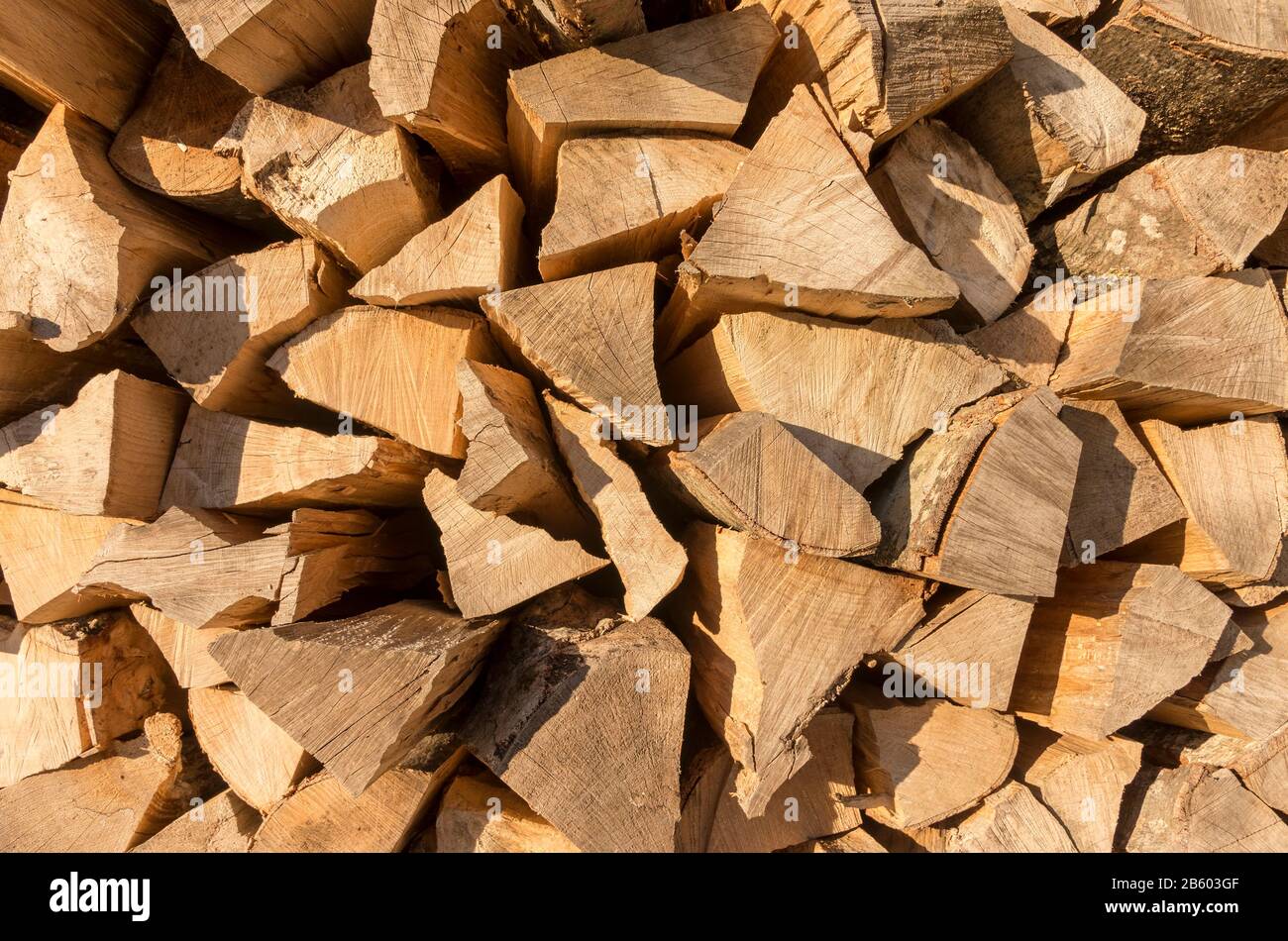 beech wood cut and cracked Stock Photo - Alamy