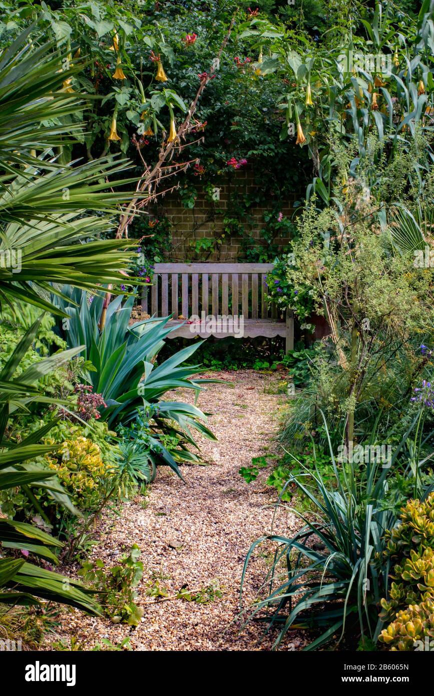bench in secluded tropical garden Stock Photo - Alamy