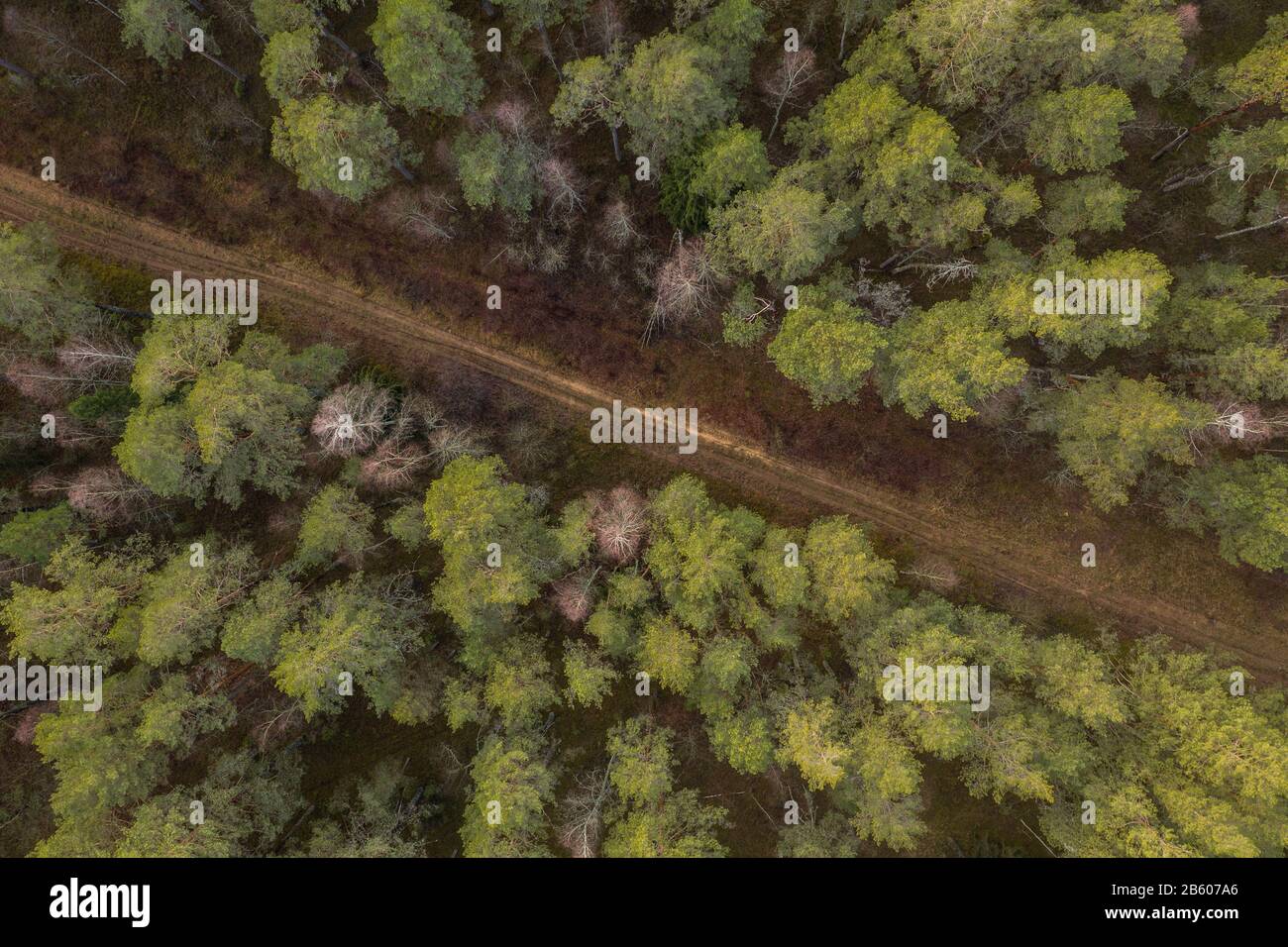 Aerial view of dirt road through landscape with meadow hi-res stock ...