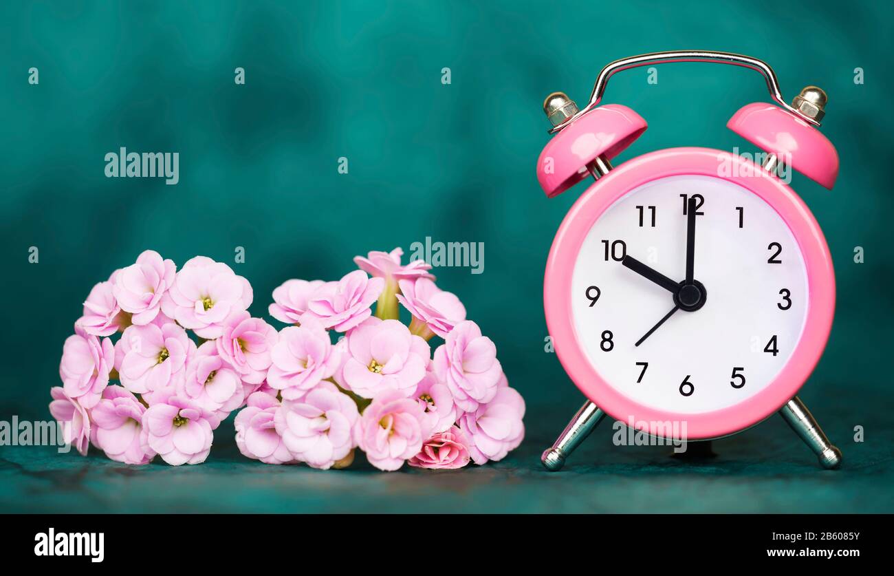 Pink alarm clock and flowers on blue background, spring forward ...