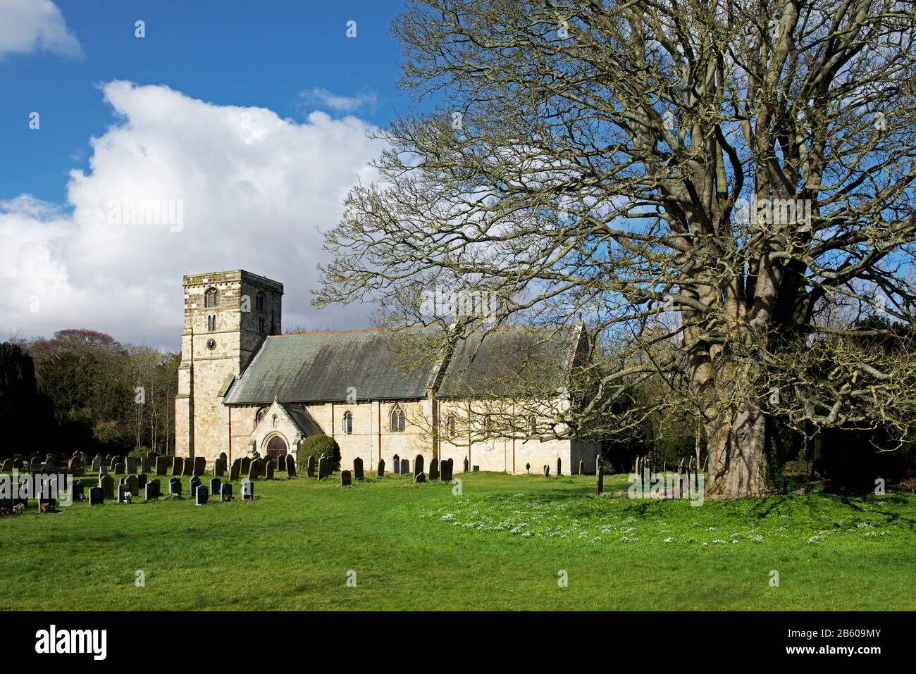 St Martin's Church, in the village of Hayton, East Yorkshire, England ...