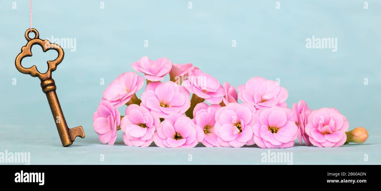 Key to happiness, life coaching, motivation, self realization concept ...