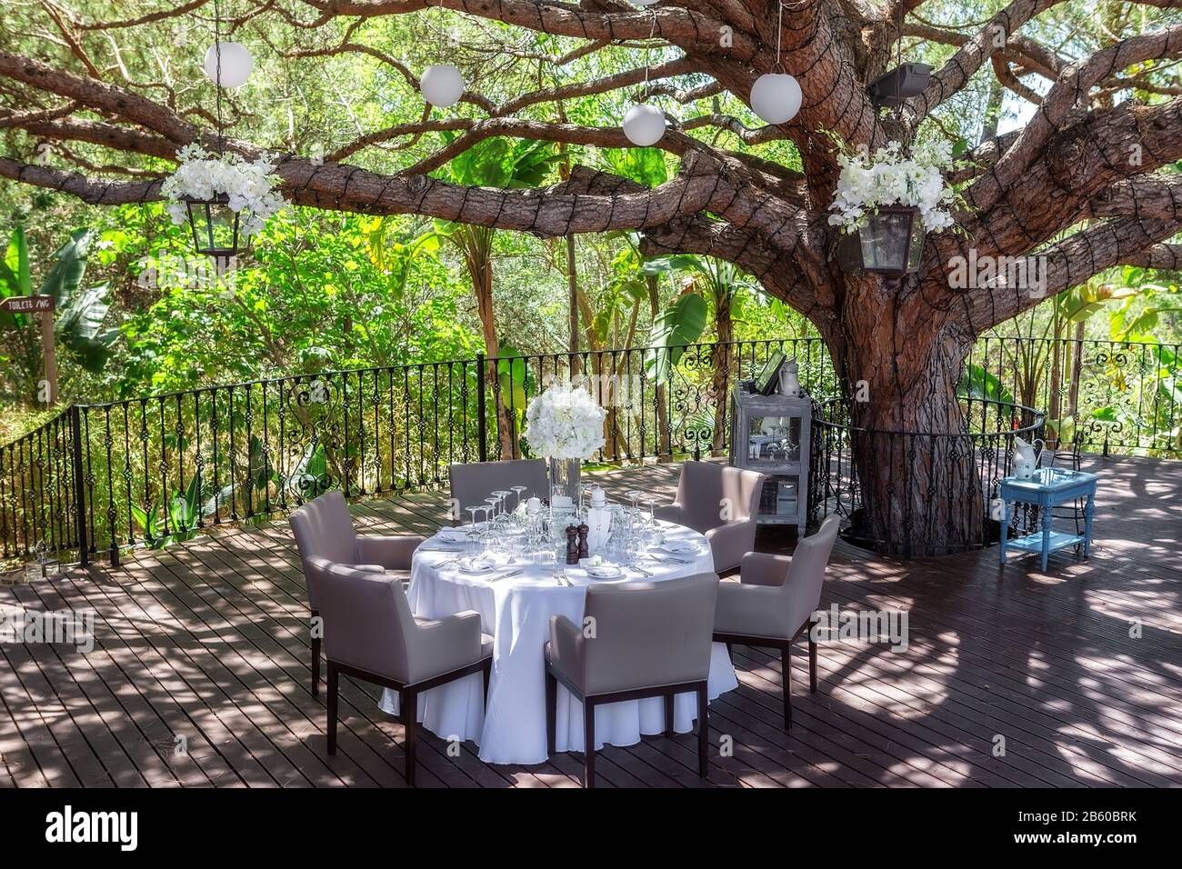Wedding table in the garden under a tree Stock Photo - Alamy