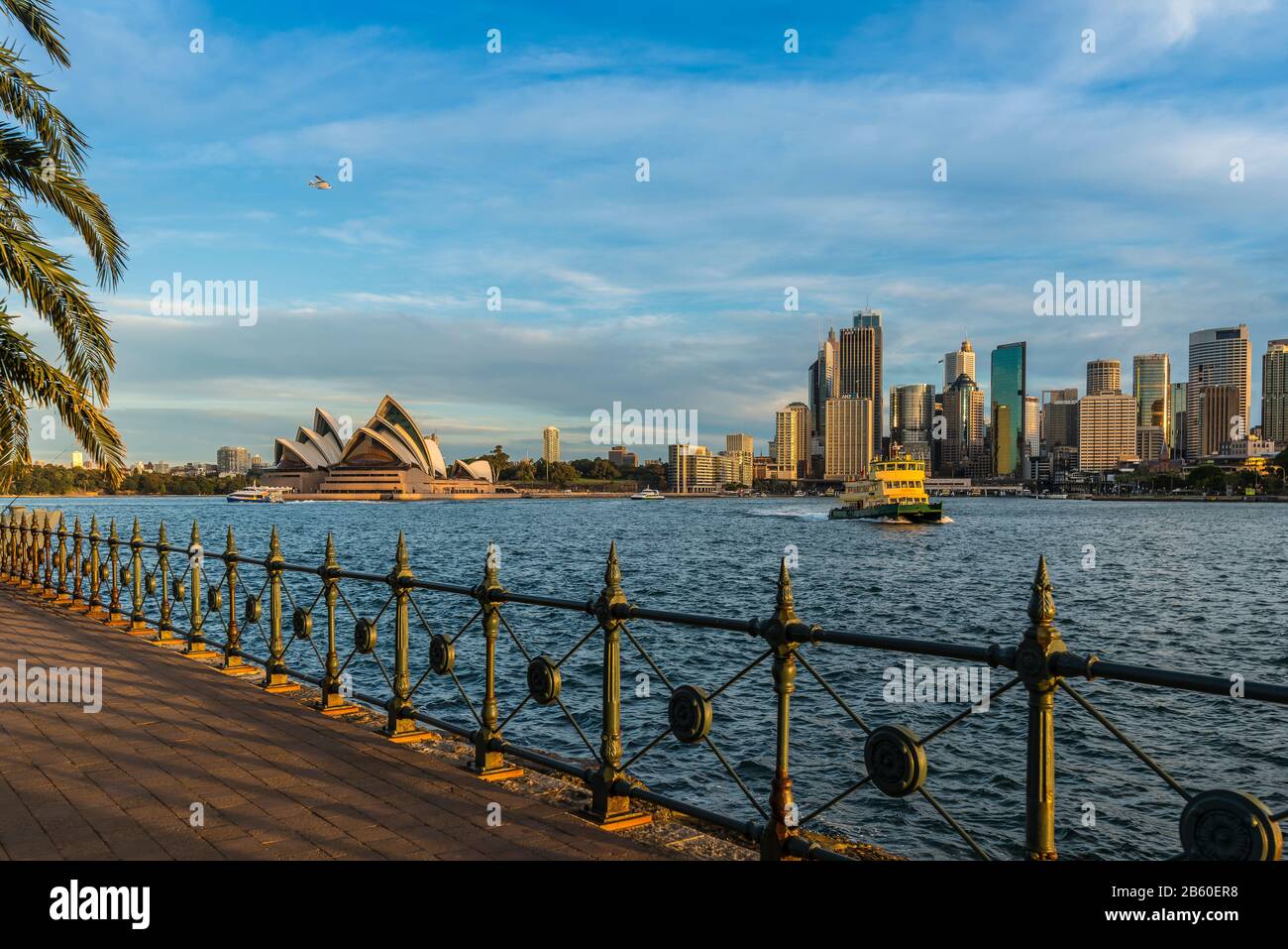 Sydney Harbor Bridge Cityscape Stock Photo - Alamy
