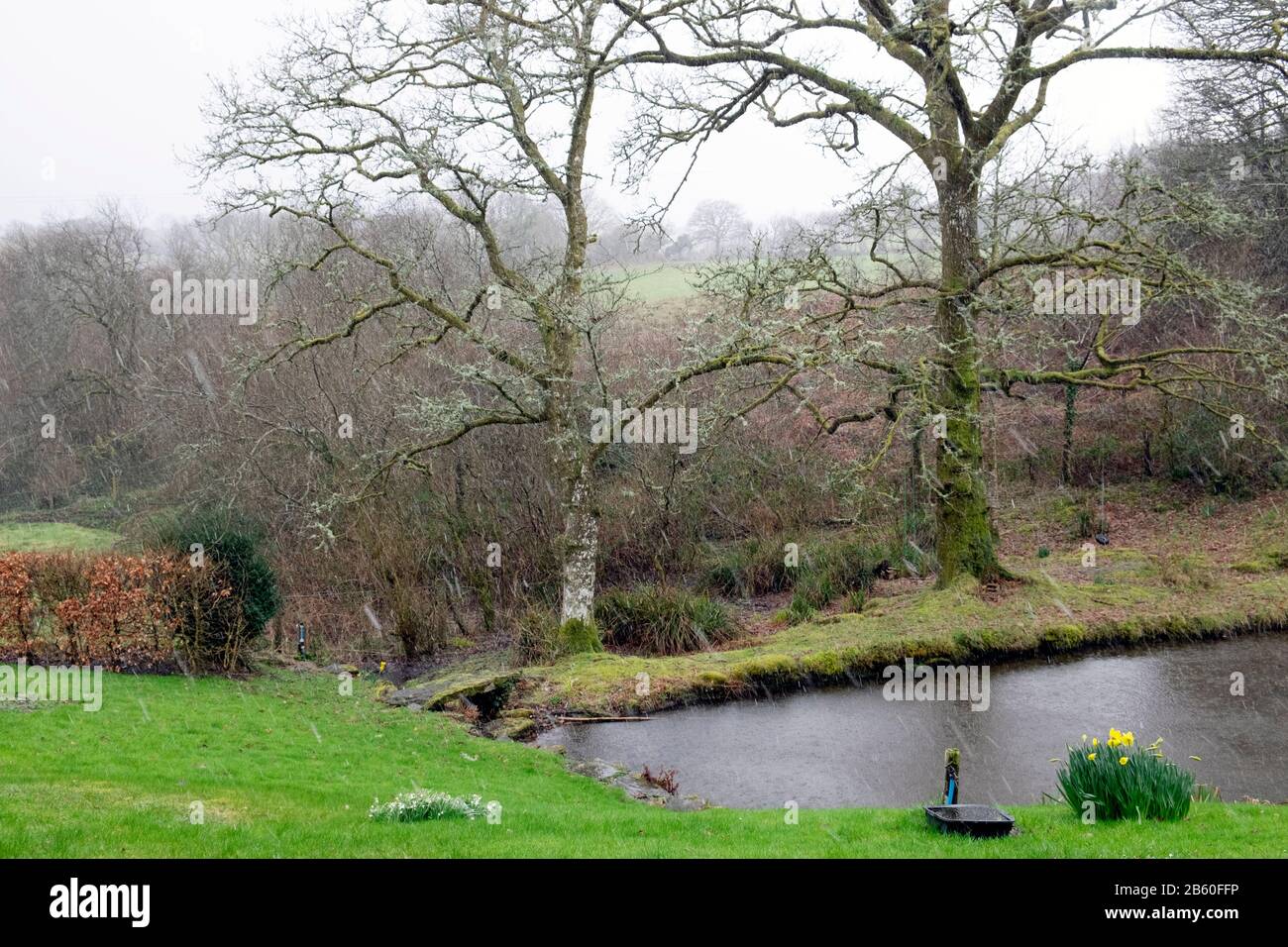 Garden pond in February 2020 winter landscape with early spring ...