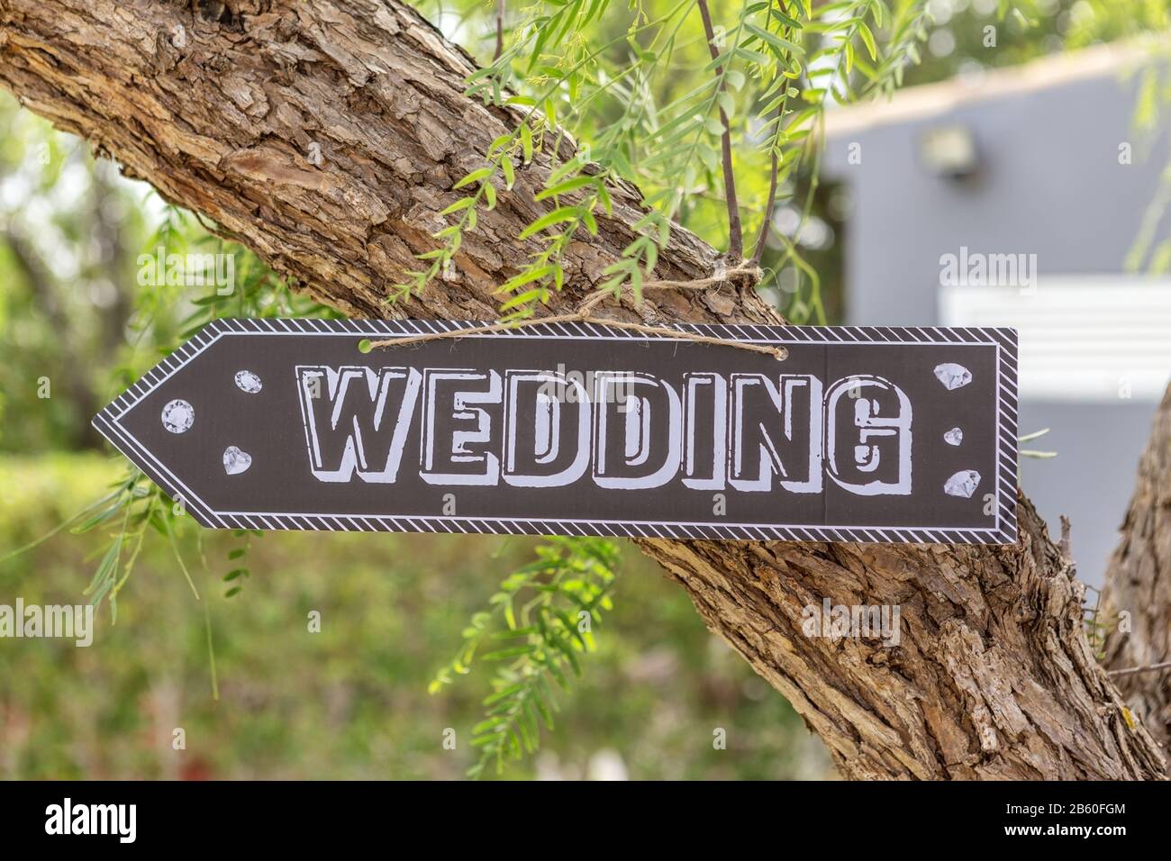 Wooden plaque with the inscription words wedding. In tree Stock Photo ...