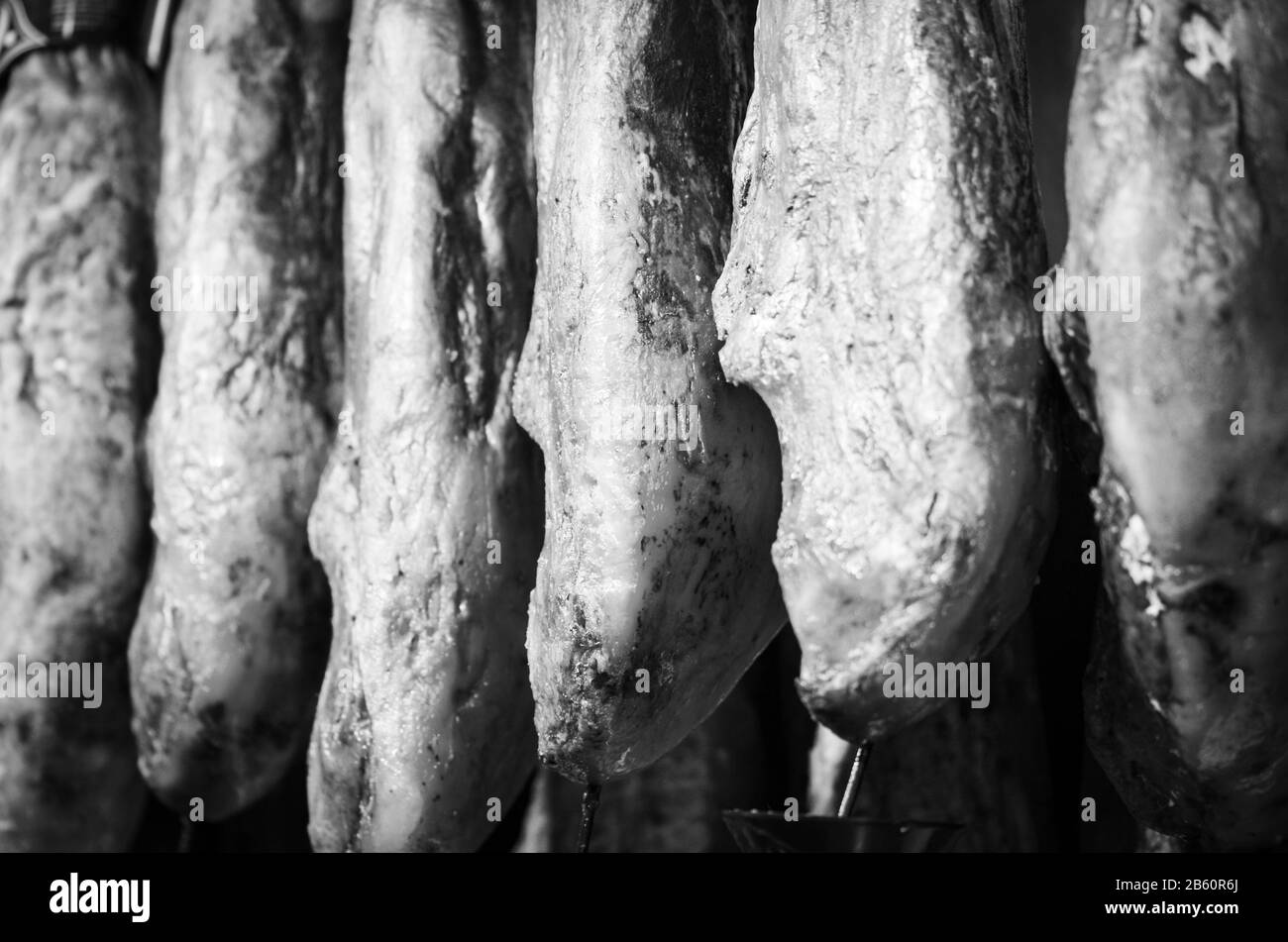 Panini Black and White Stock Photos & Images - Alamy