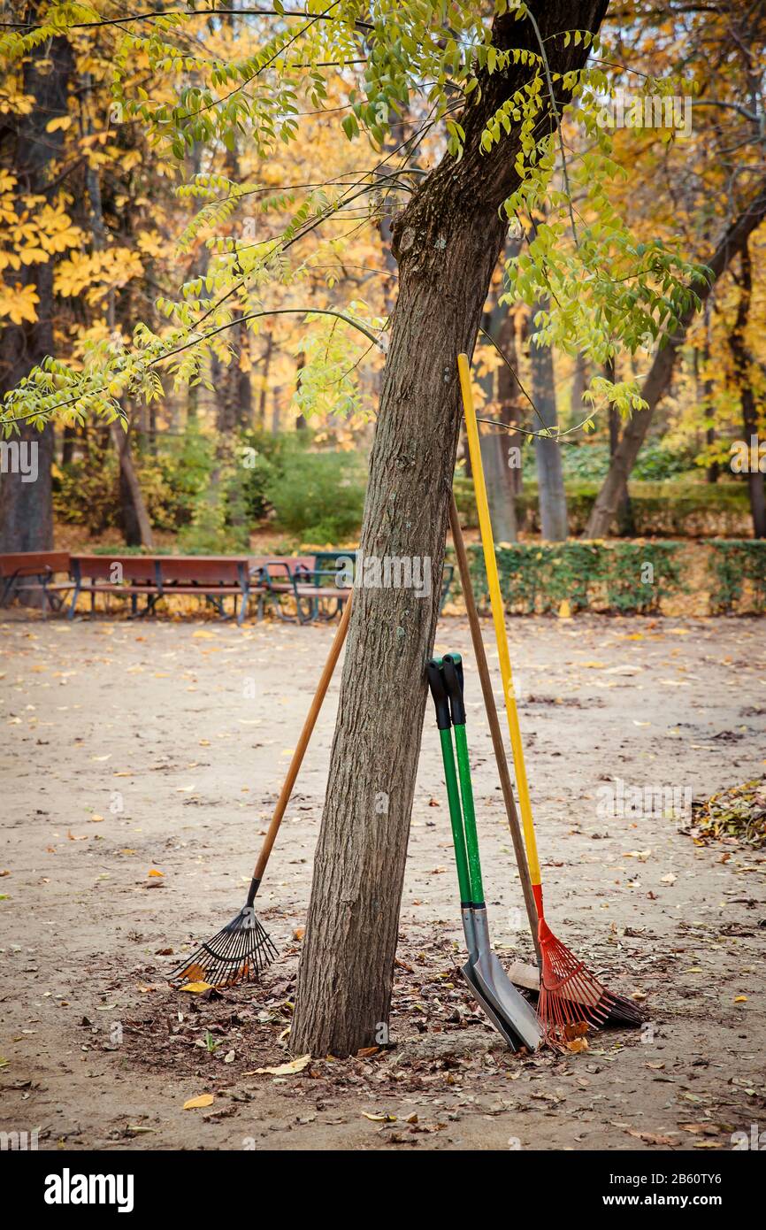 Gardening tools cleaning tools hi-res stock photography and images - Alamy