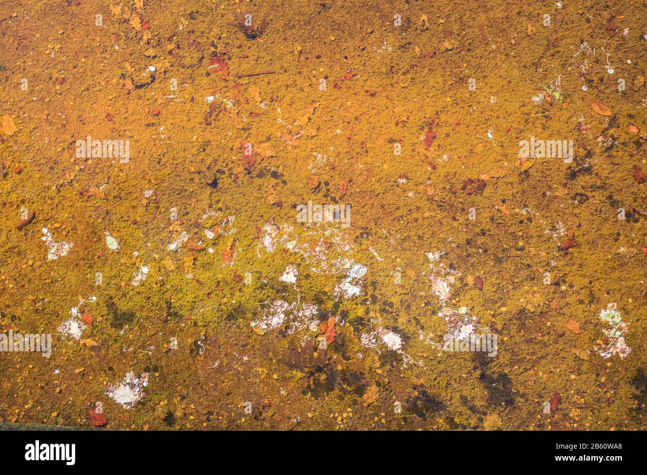 dirt on the bottom of a pond with water on the outside Stock Photo - Alamy